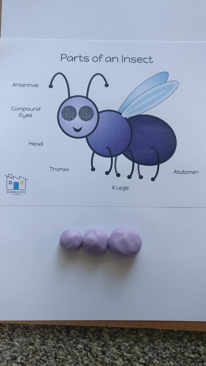 Build a Bug! : 4 Steps - Instructables