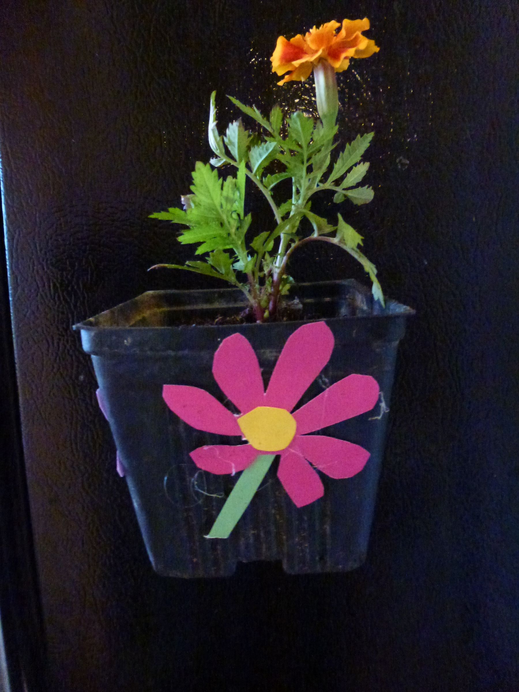 Refrigerator Plants : 4 Steps (with Pictures) - Instructables