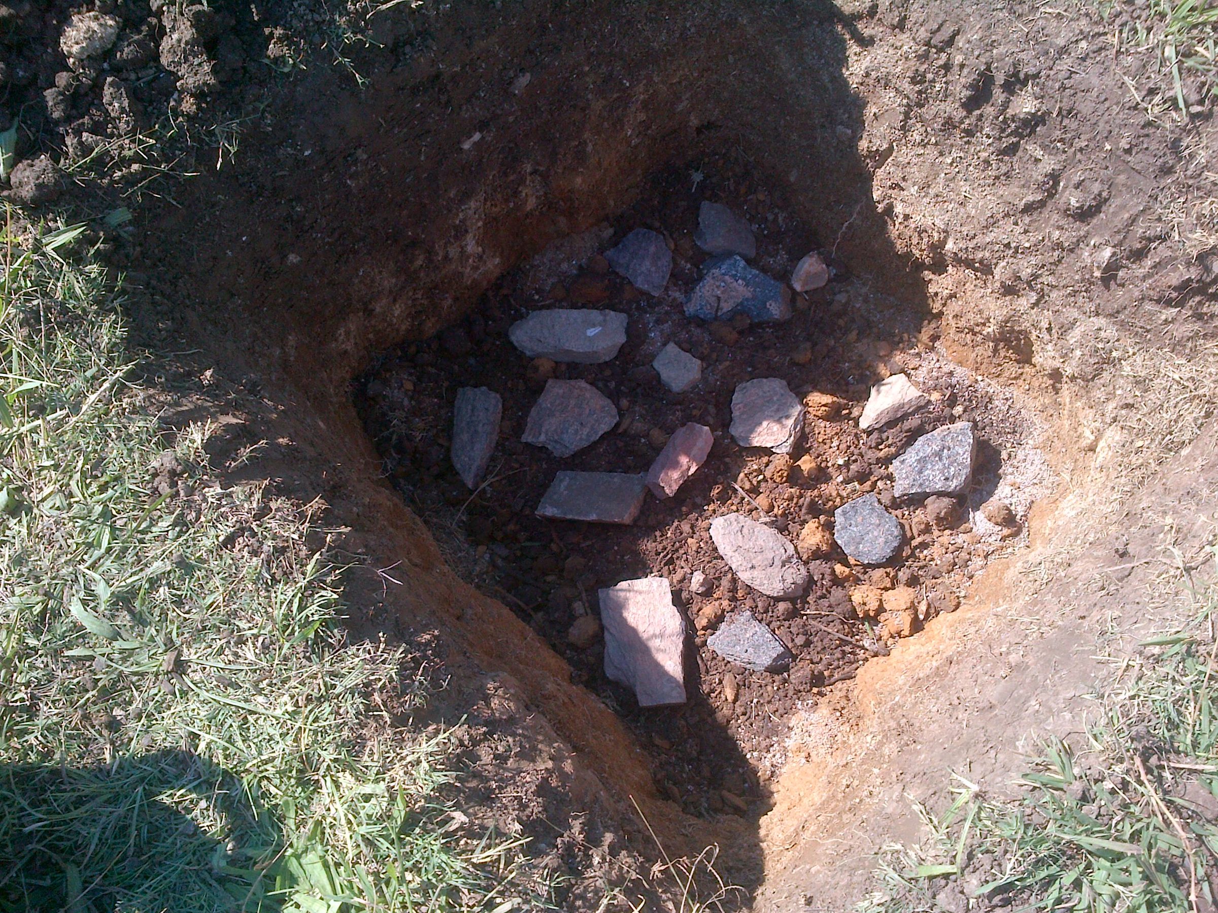 Planting Tree Ellen White Way (EGW) : 11 Steps - Instructables