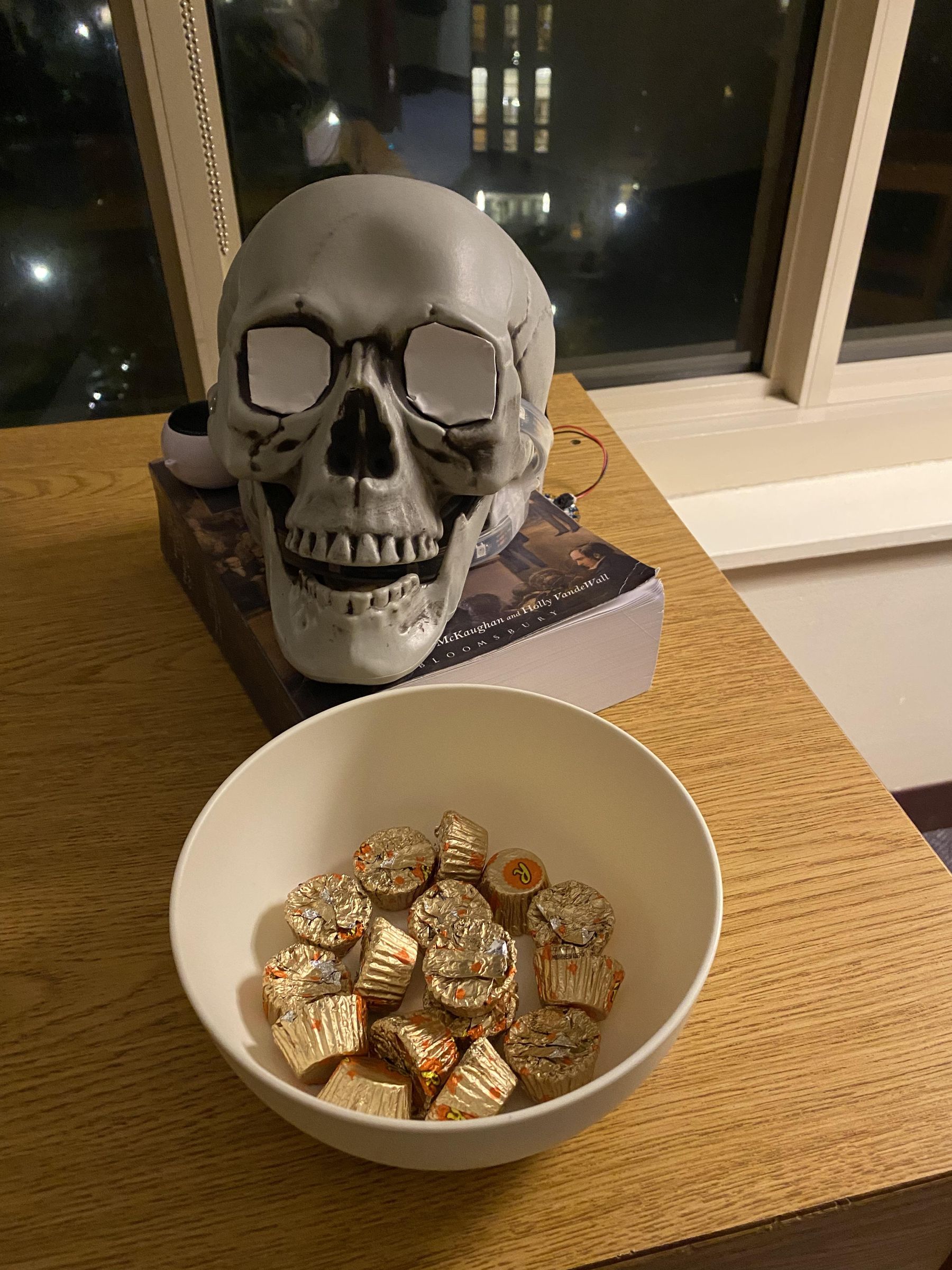 A Talking Skull Halloween Decoration! : 11 Steps - Instructables