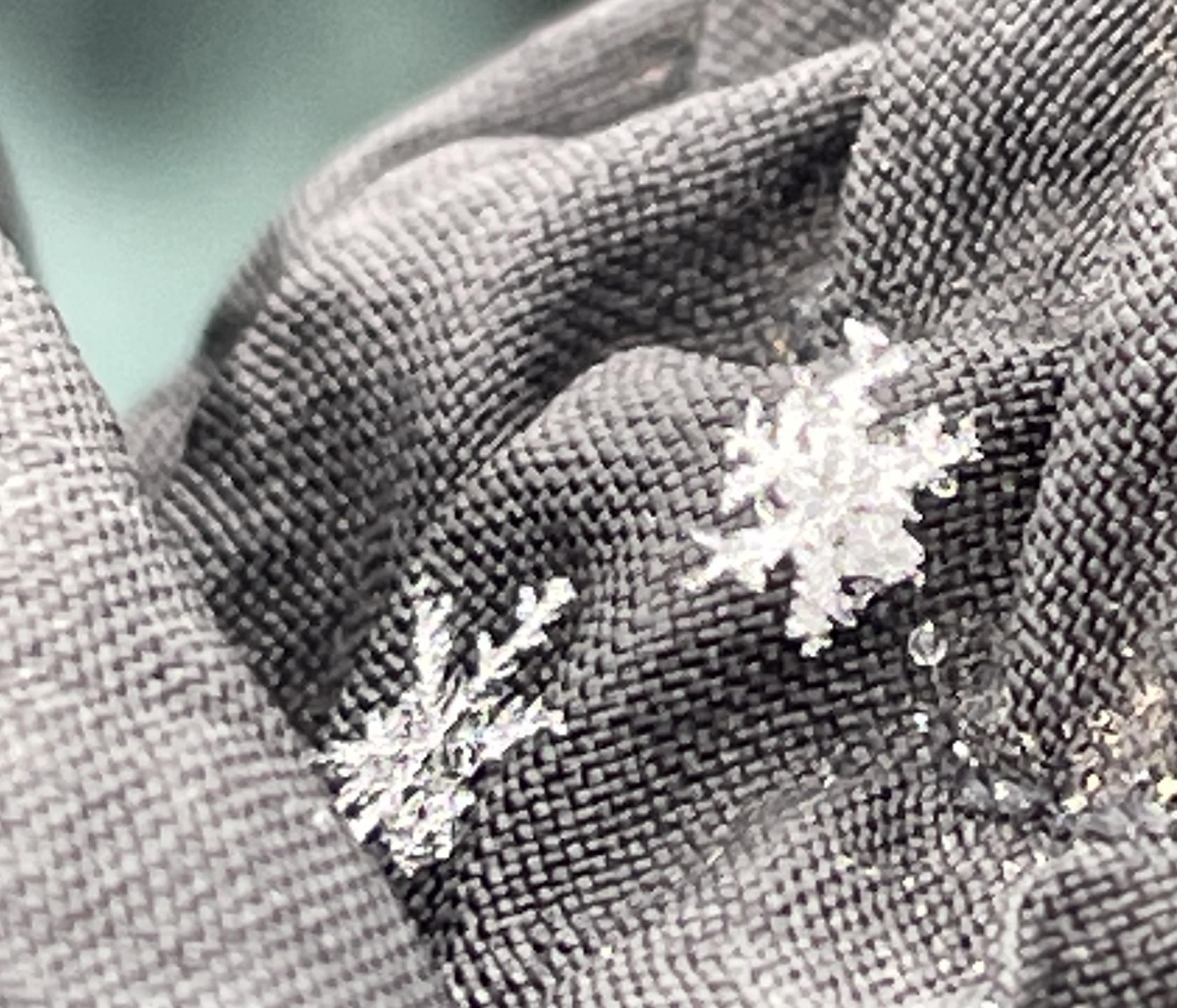 Capture Snowflakes With Photography (with Pictures) - Instructables