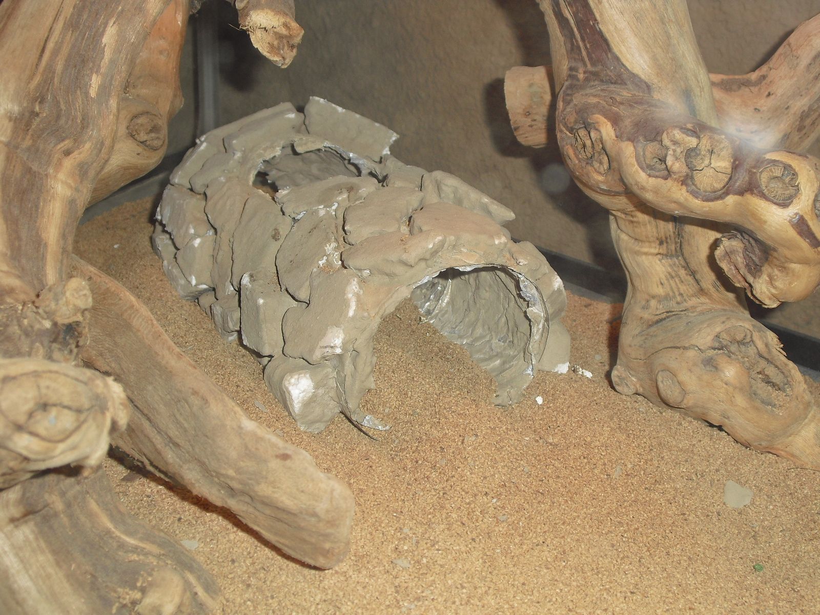 How to Build a Healthy Habitat for Your Bearded Dragon : 6 Steps ...