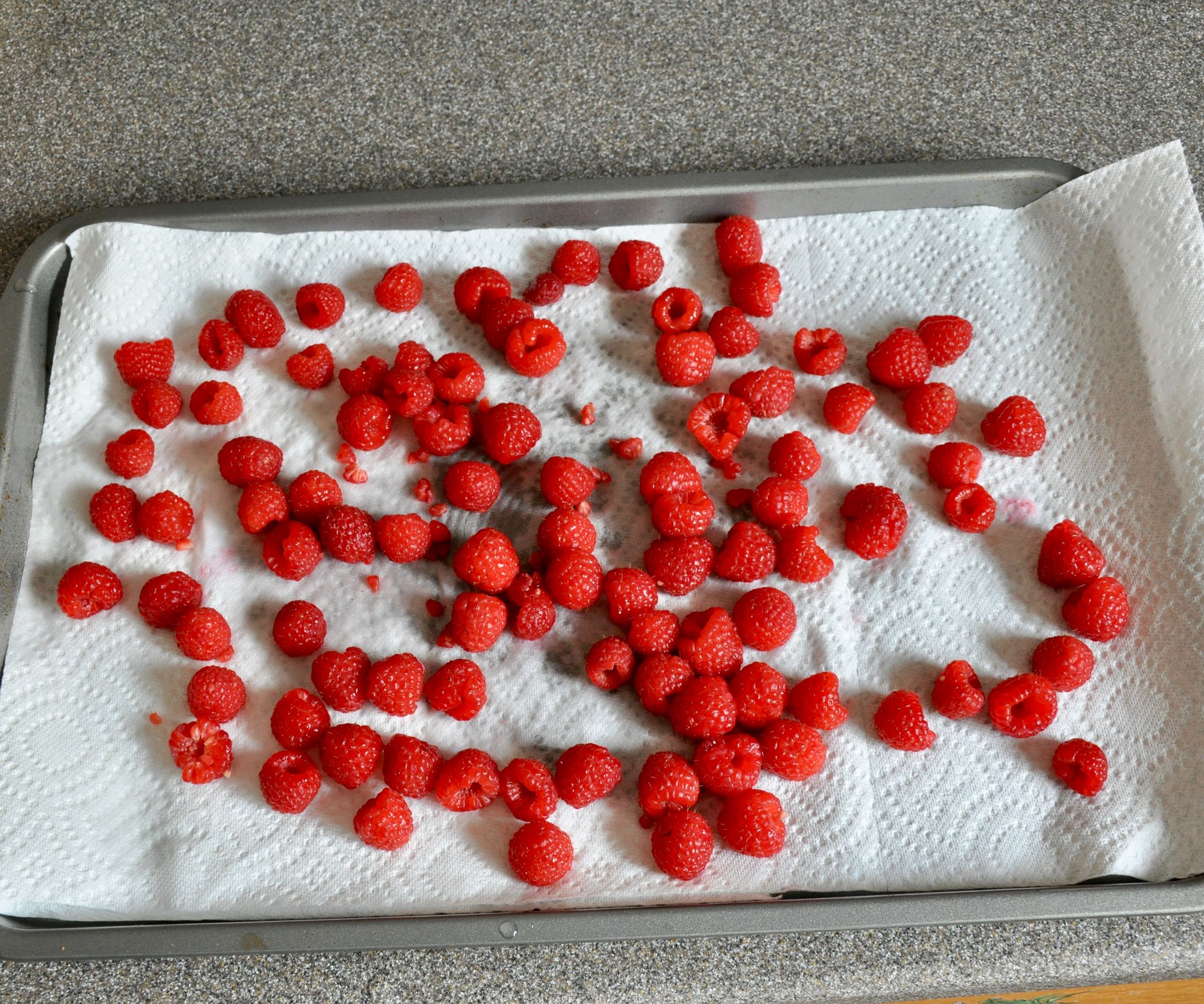 Raspberry Bark : 6 Steps (with Pictures) - Instructables