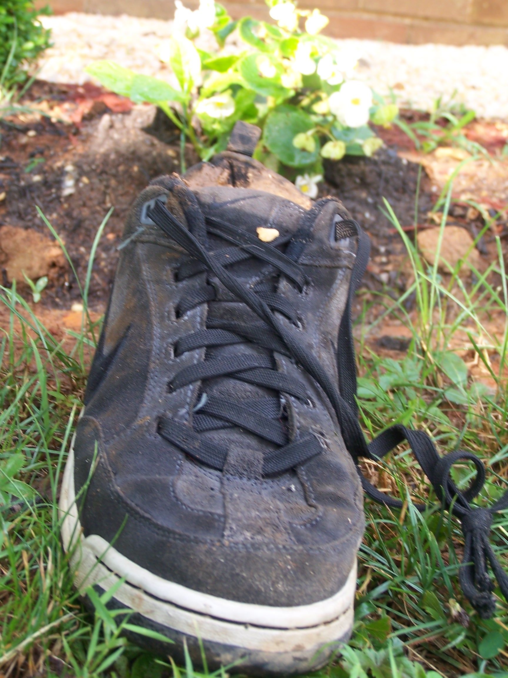 Shoeflower! : 4 Steps (with Pictures) - Instructables