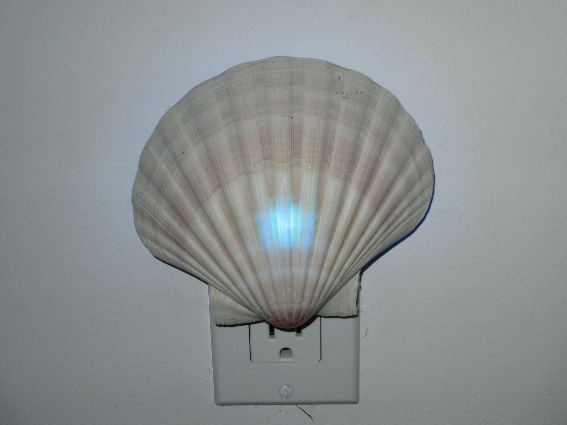 Color Changing Night Light : 5 Steps (with Pictures) - Instructables