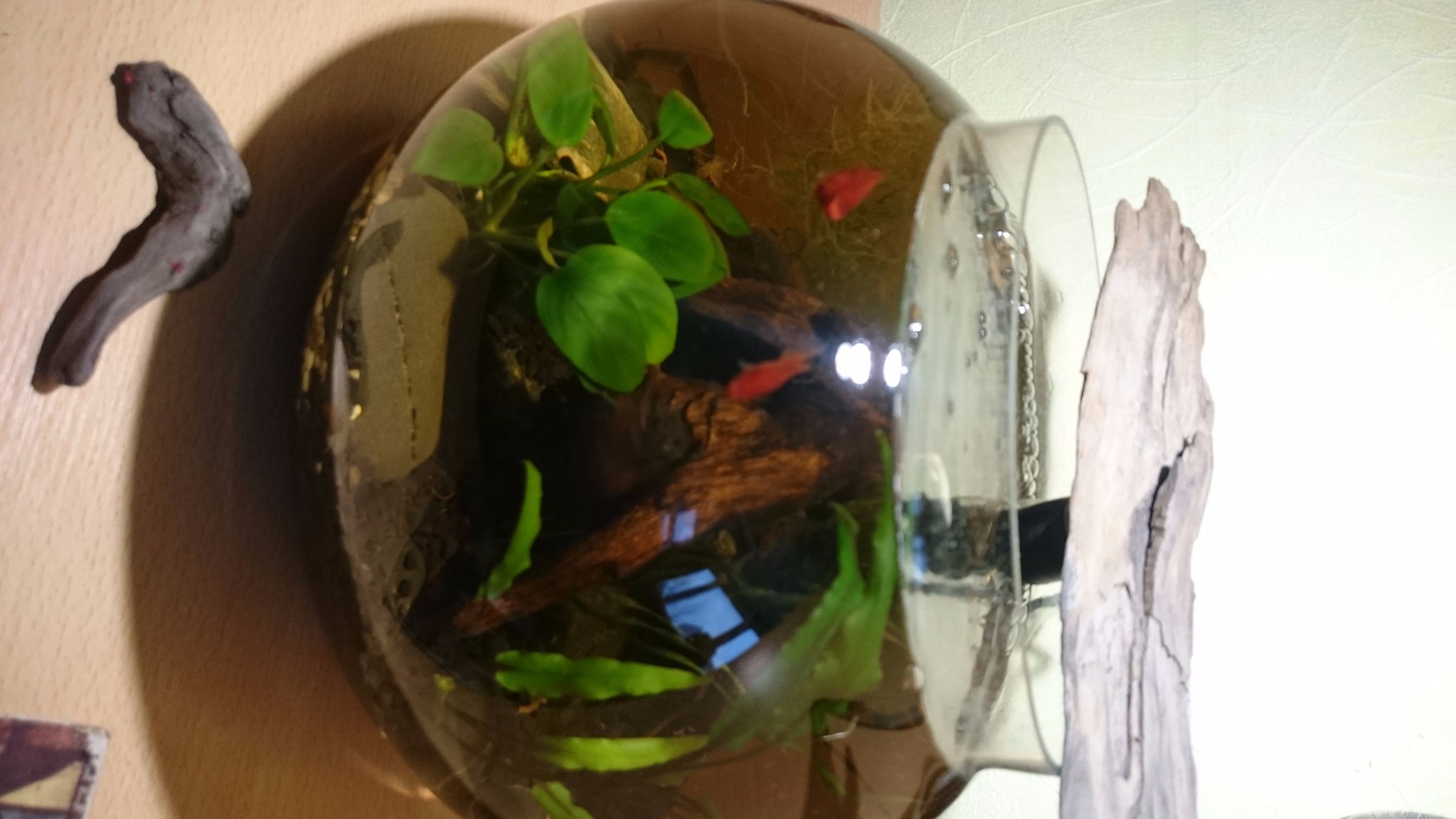 Aquarium Filter- Decor - Instructables