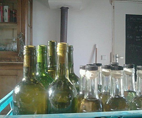 Birch Sap Wine : 3 Steps (with Pictures) - Instructables