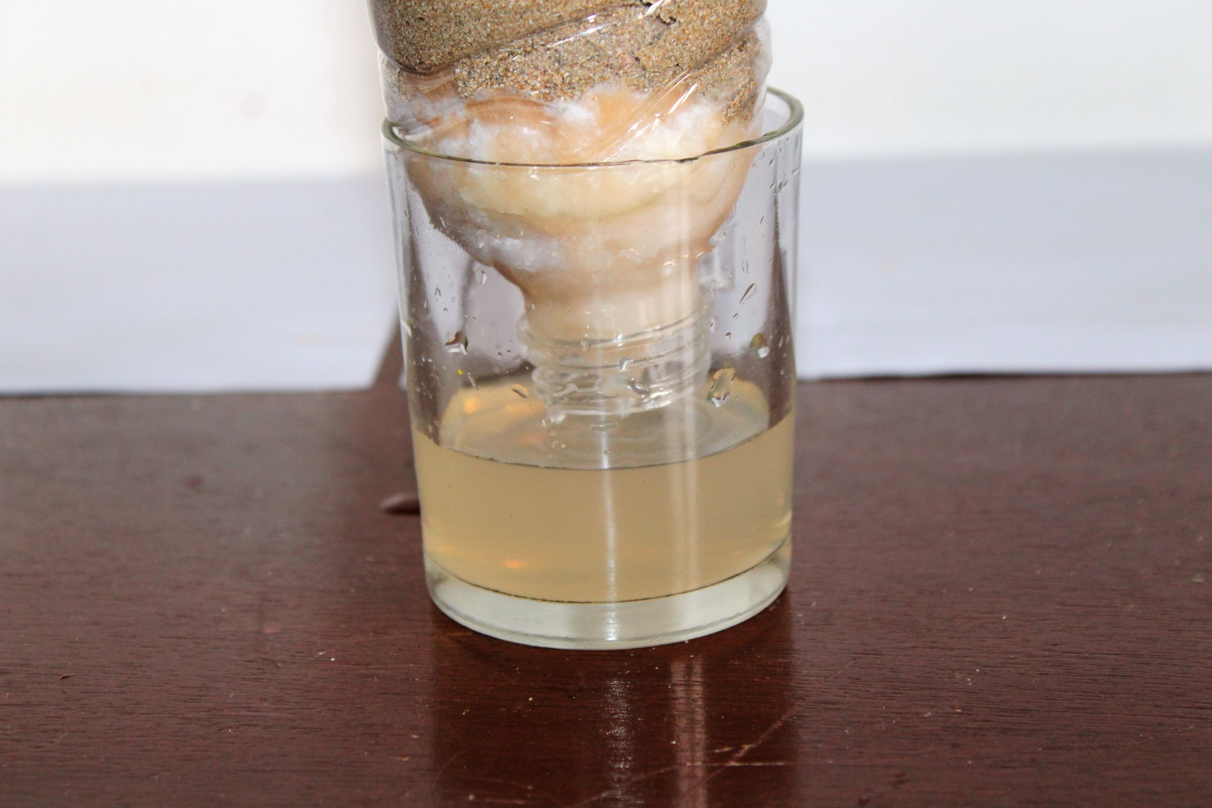 How to Make Easy Water Filtration : 11 Steps - Instructables