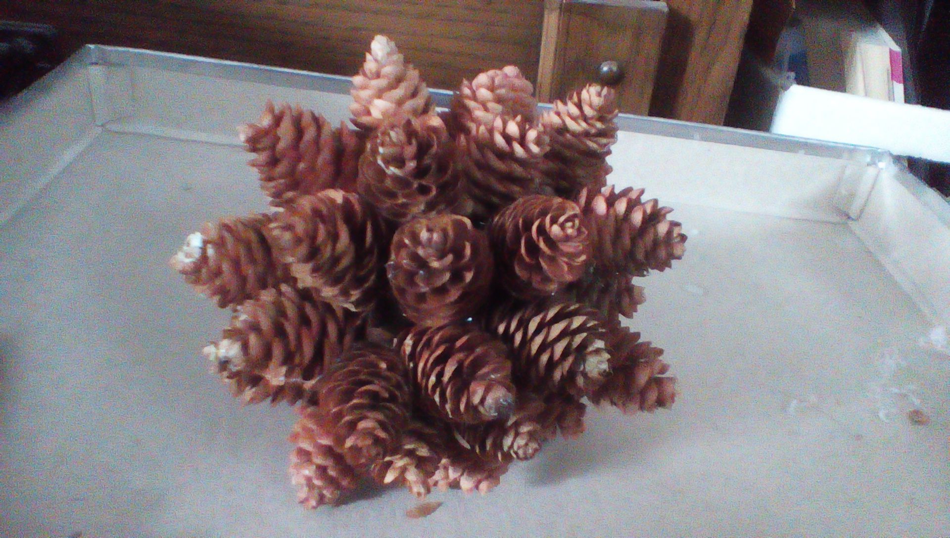 Pine Cone Ball Ornament : 3 Steps (with Pictures) - Instructables