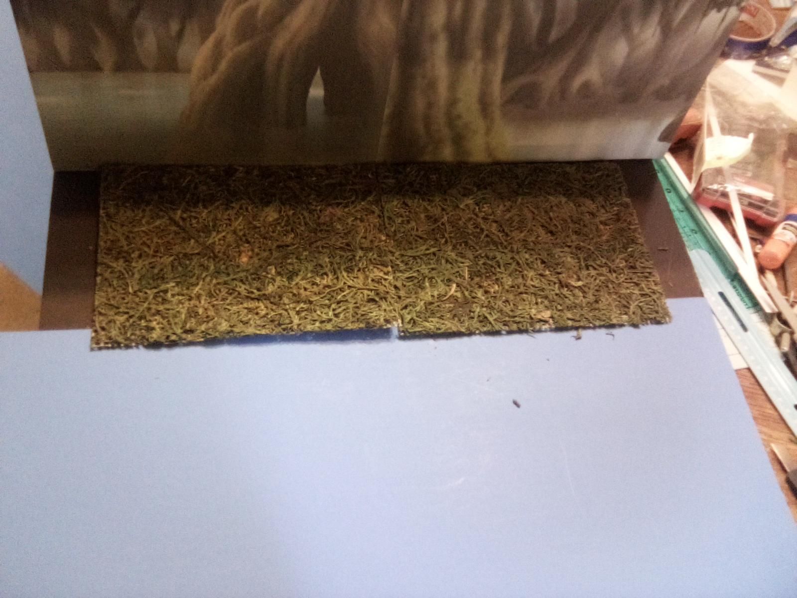 Riverbank Diorama : 6 Steps - Instructables