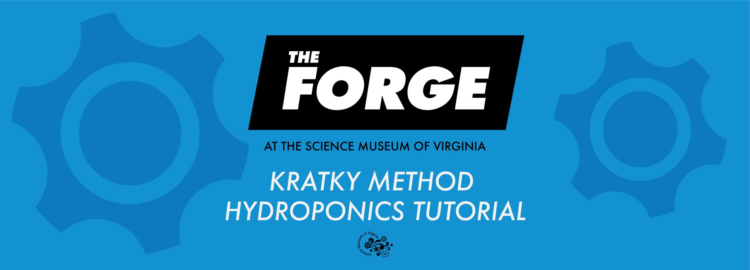 Kratky Method Hydroponics Tutorial : 3 Steps - Instructables