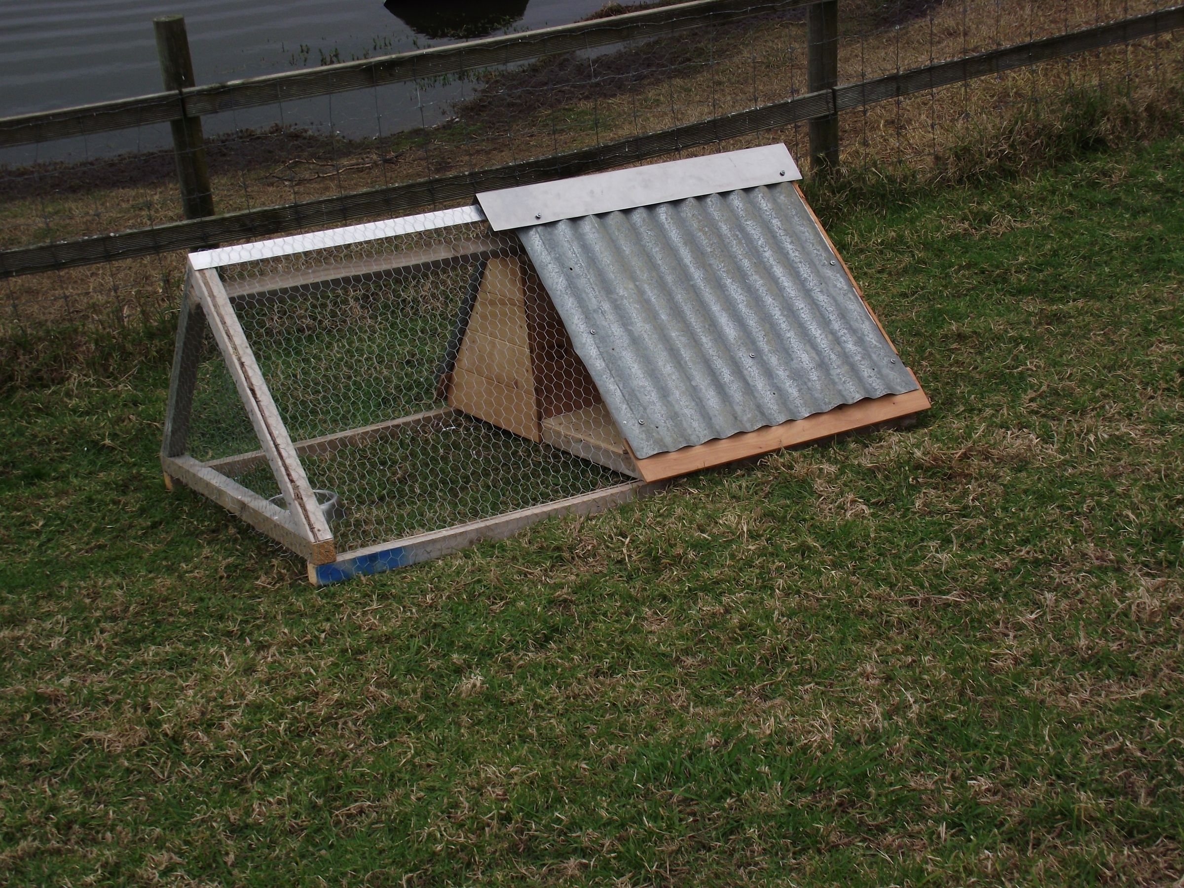 Chicken Accommodation Available for a Handsome, Single Young Man! : 9 ...