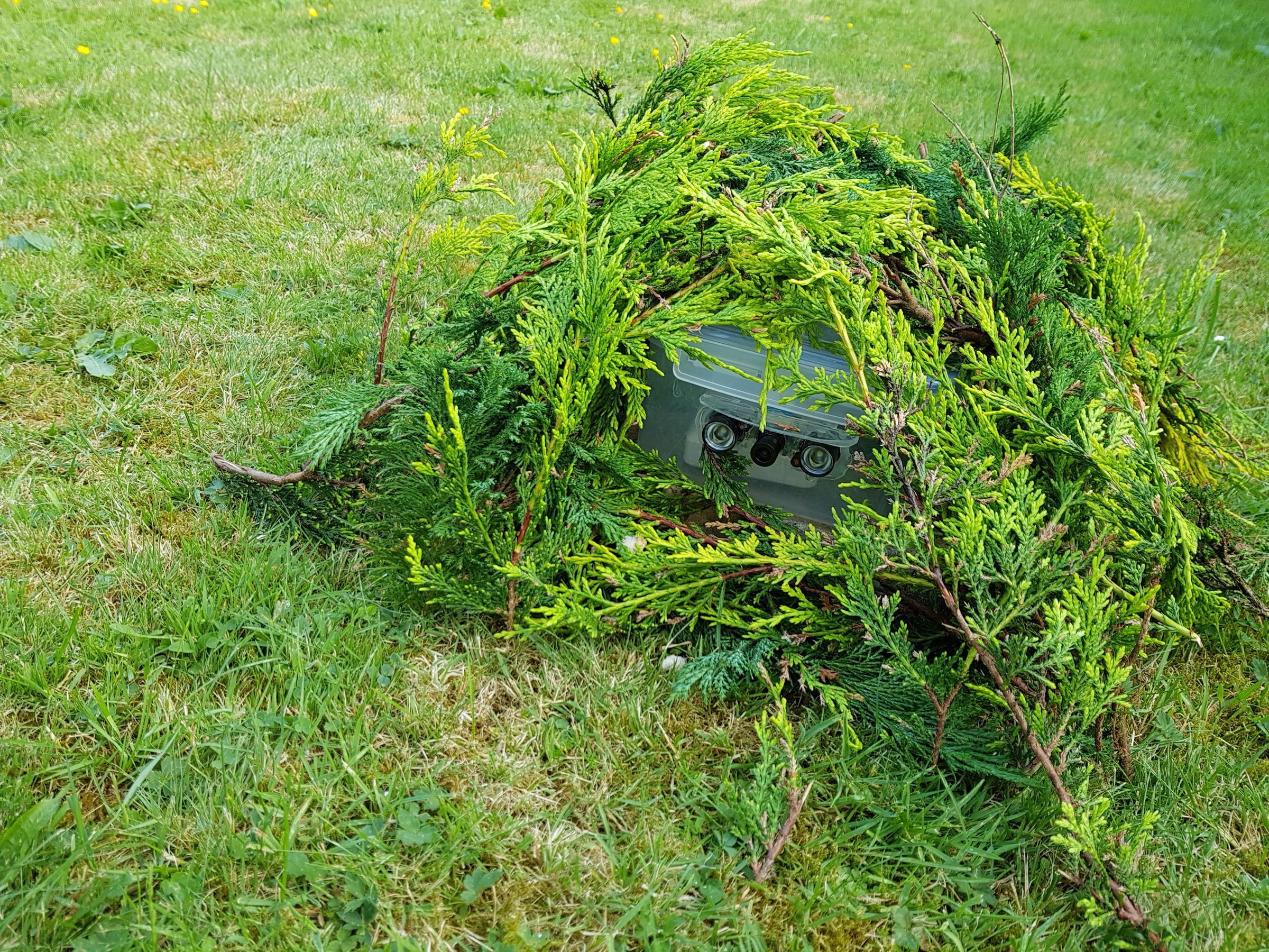 Simple Raspberry Pi Camera Trap Made From a Food Container : 6 Steps (with Pictures) - Instructables