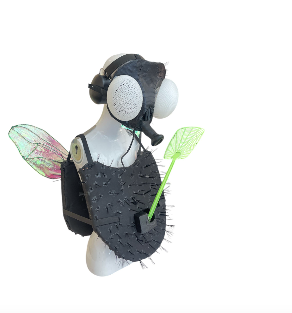 Fly Simulator (Fly Empathy Generator) : 4 Steps - Instructables