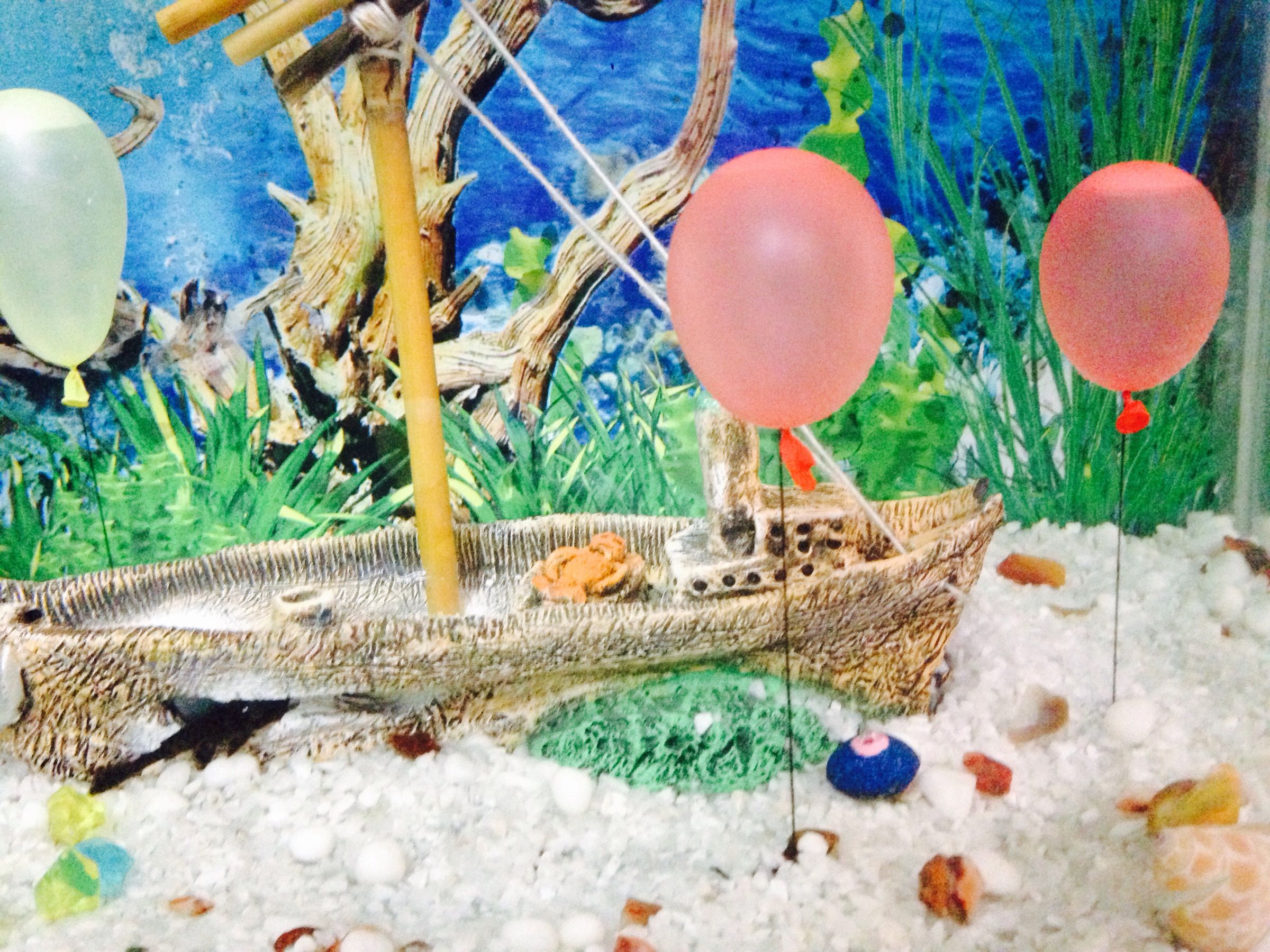 D.I.Y. Aquarium Underwater Balloons : 6 Steps - Instructables