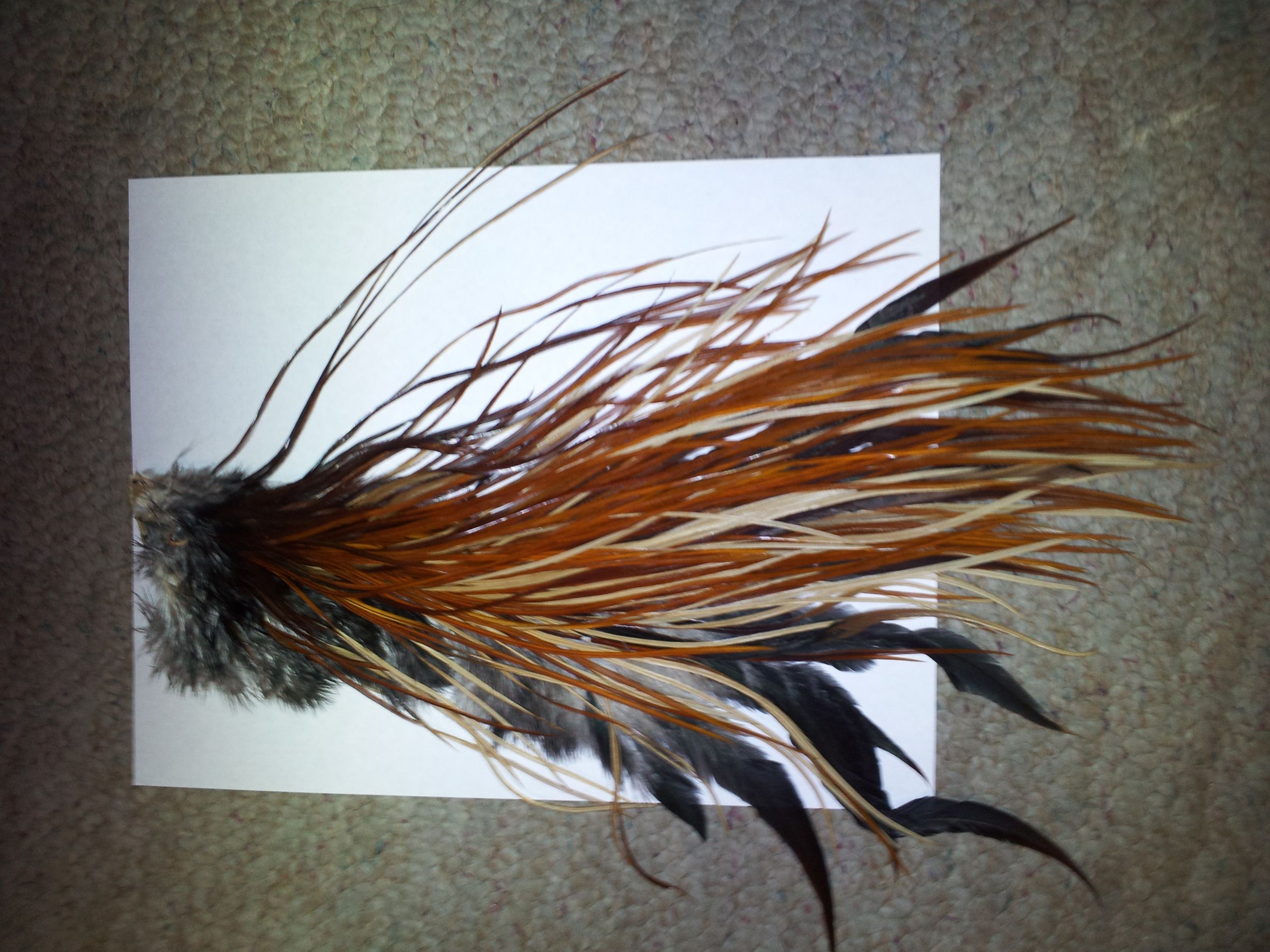 How to Make/dye Your Own Feather Hair Extensions in Almost Any Vibrant ...