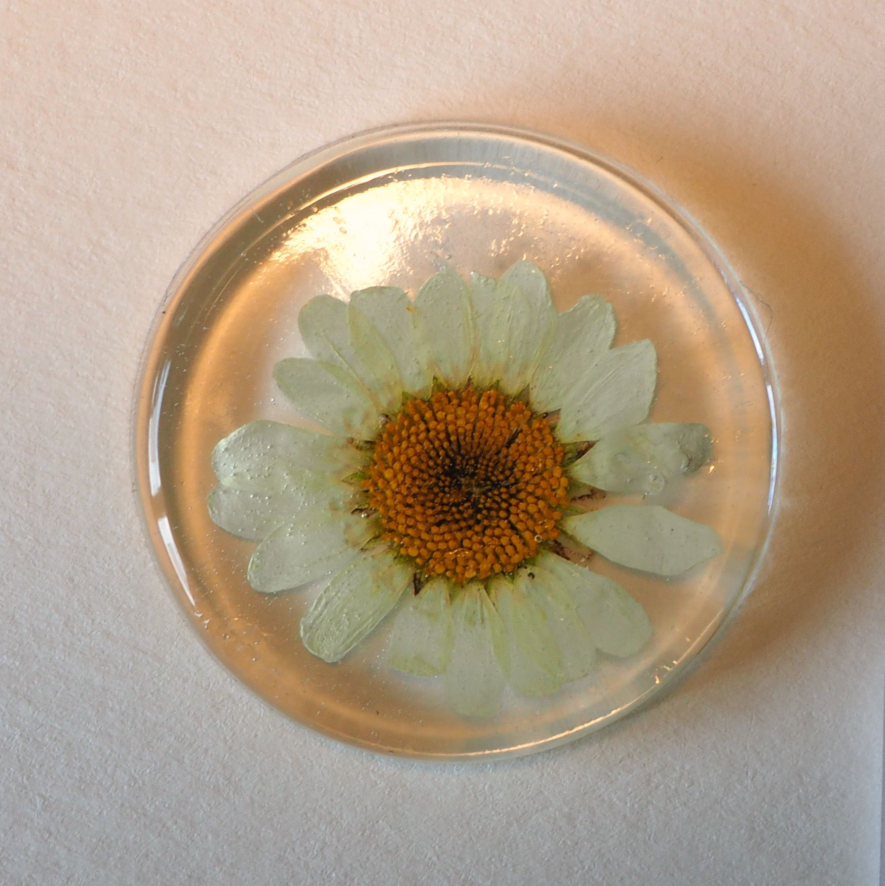 Techniques to Embed Flowers in Resin : 12 Steps (with Pictures ...