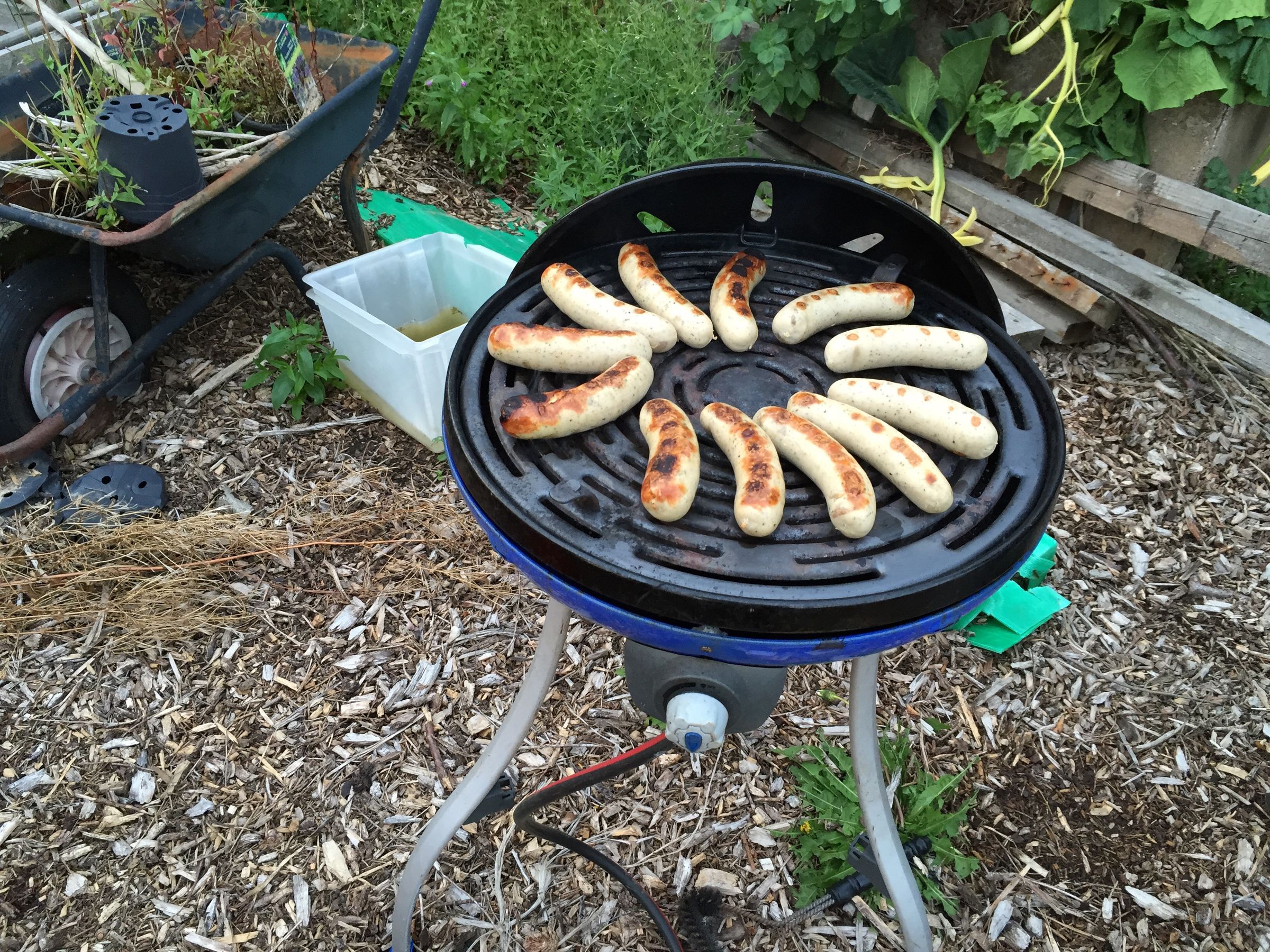 Leftover Barbecue Meat - What to Do? : 4 Steps (with Pictures ...