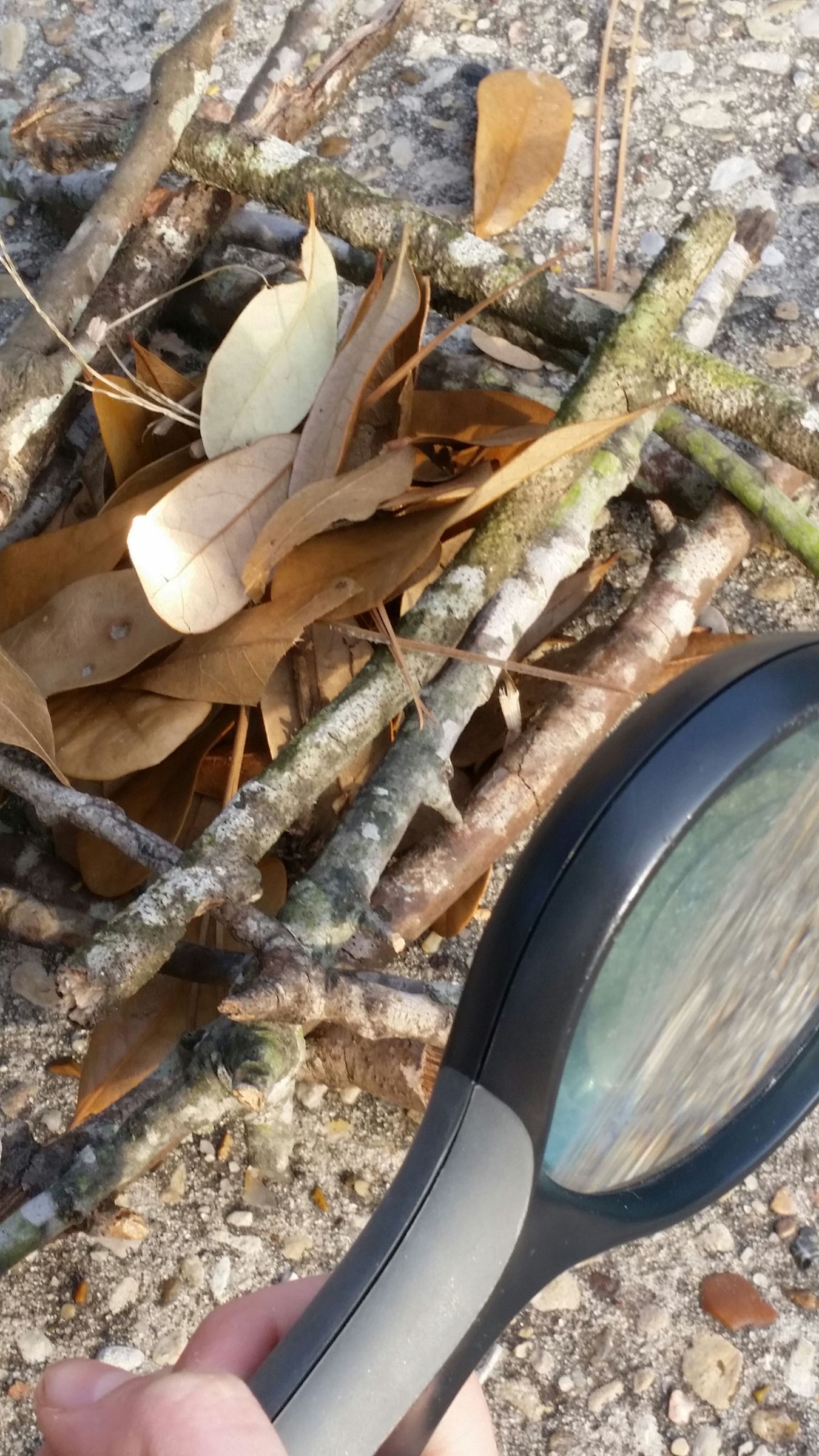 How to Start a Fire With a Magnify Glass : 3 Steps - Instructables