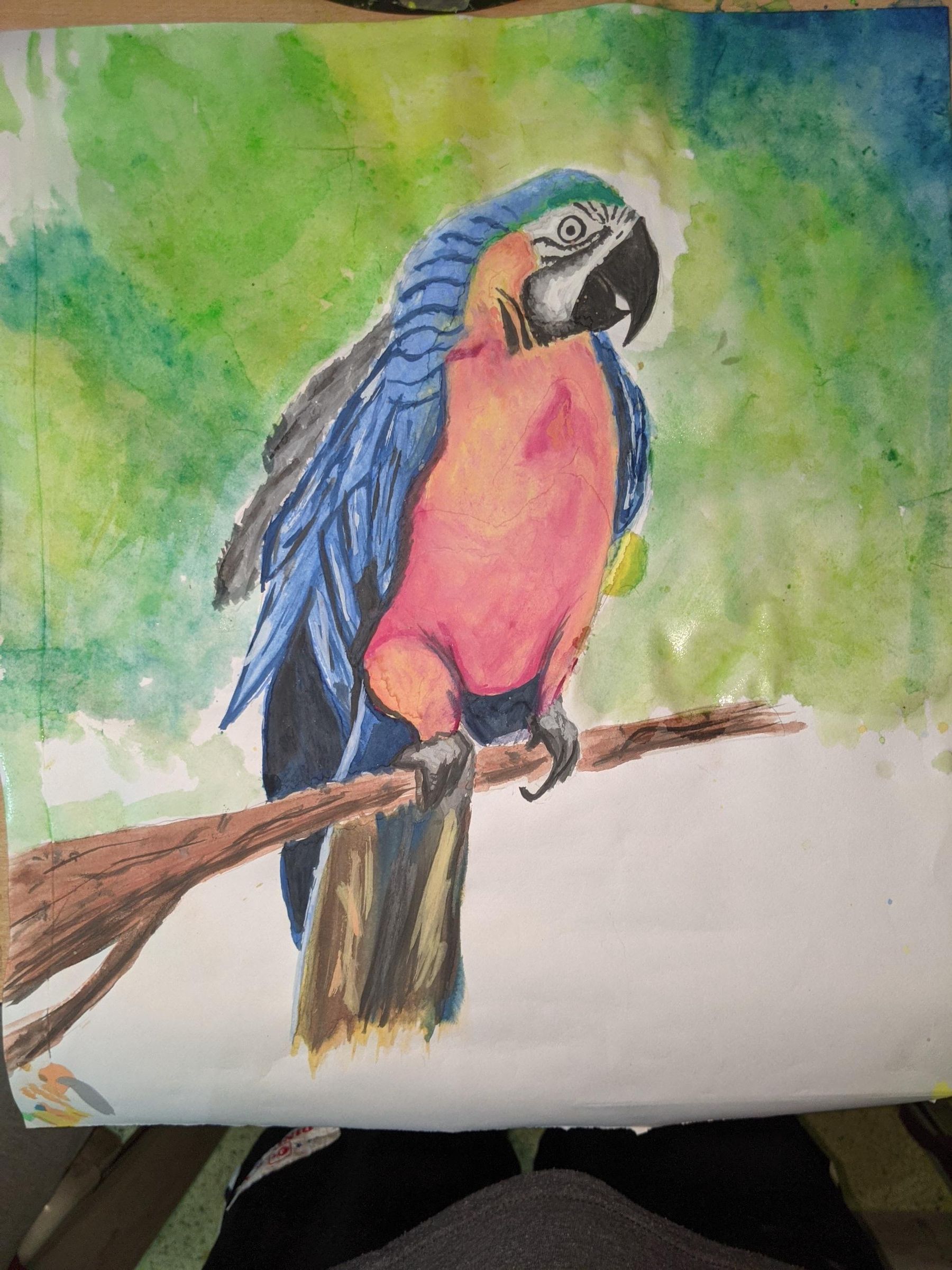 Realistic Watercolor Macaw : 8 Steps - Instructables