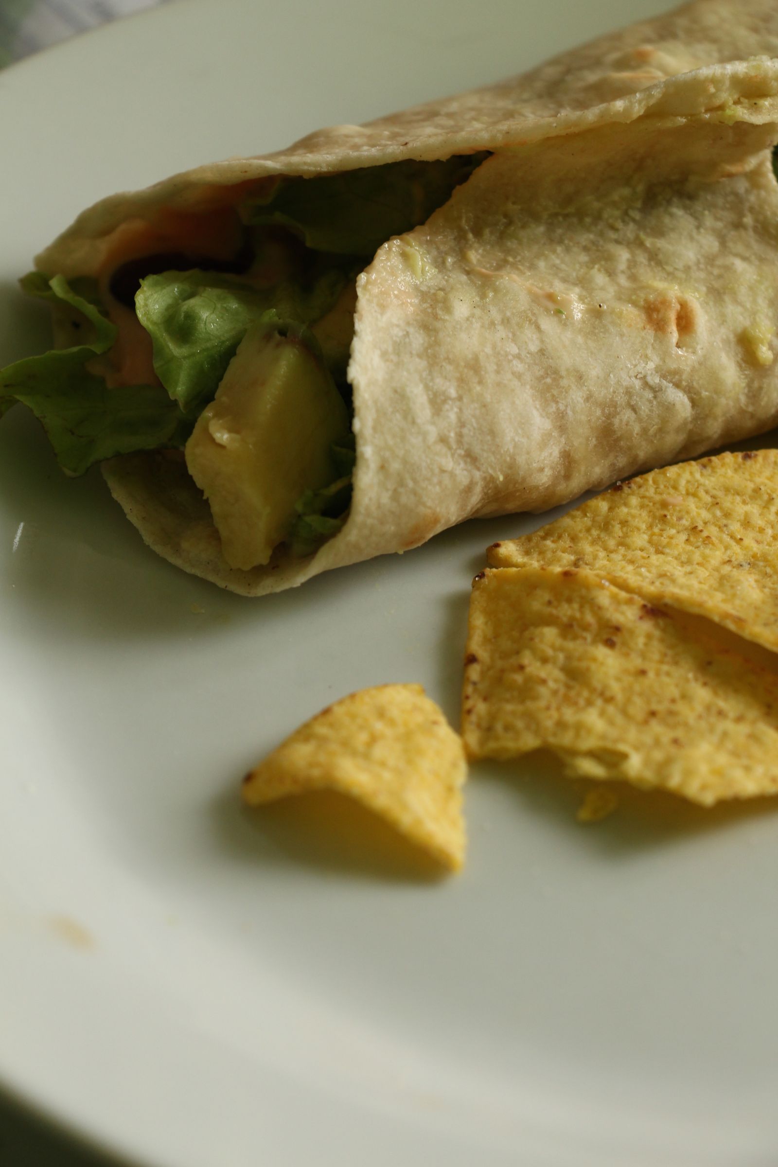 Homemade Tortilla-Wraps : 5 Steps - Instructables