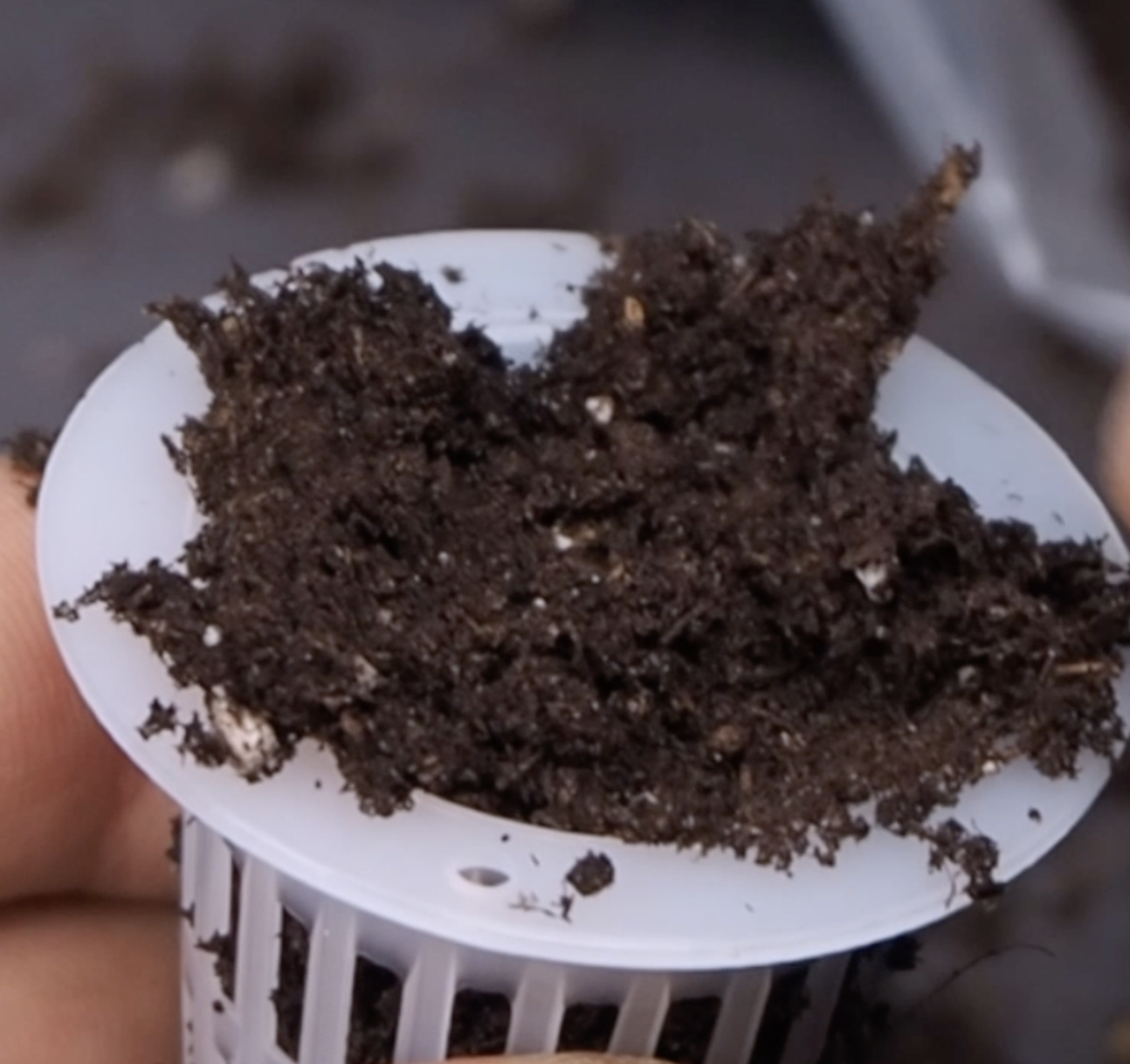 Make Your Hydroponics System Fully Automated and View Data Via the ...