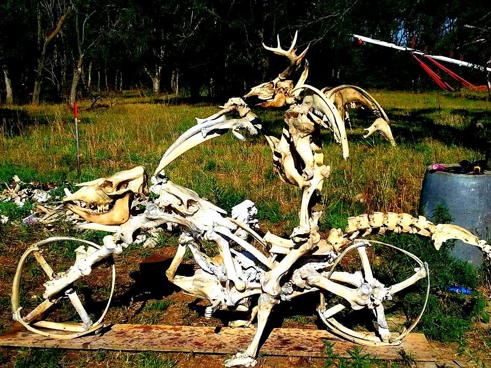 Bone Sculptures : 11 Steps (with Pictures) - Instructables