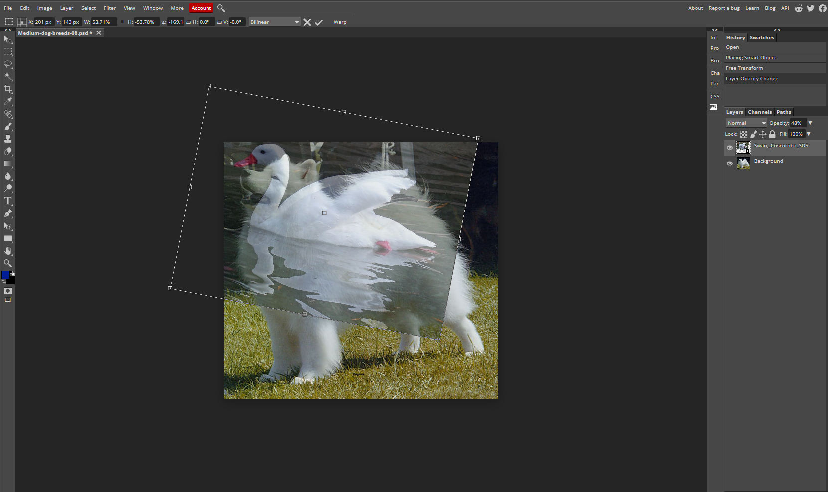 How to Make a Hybrid Animal : 7 Steps - Instructables