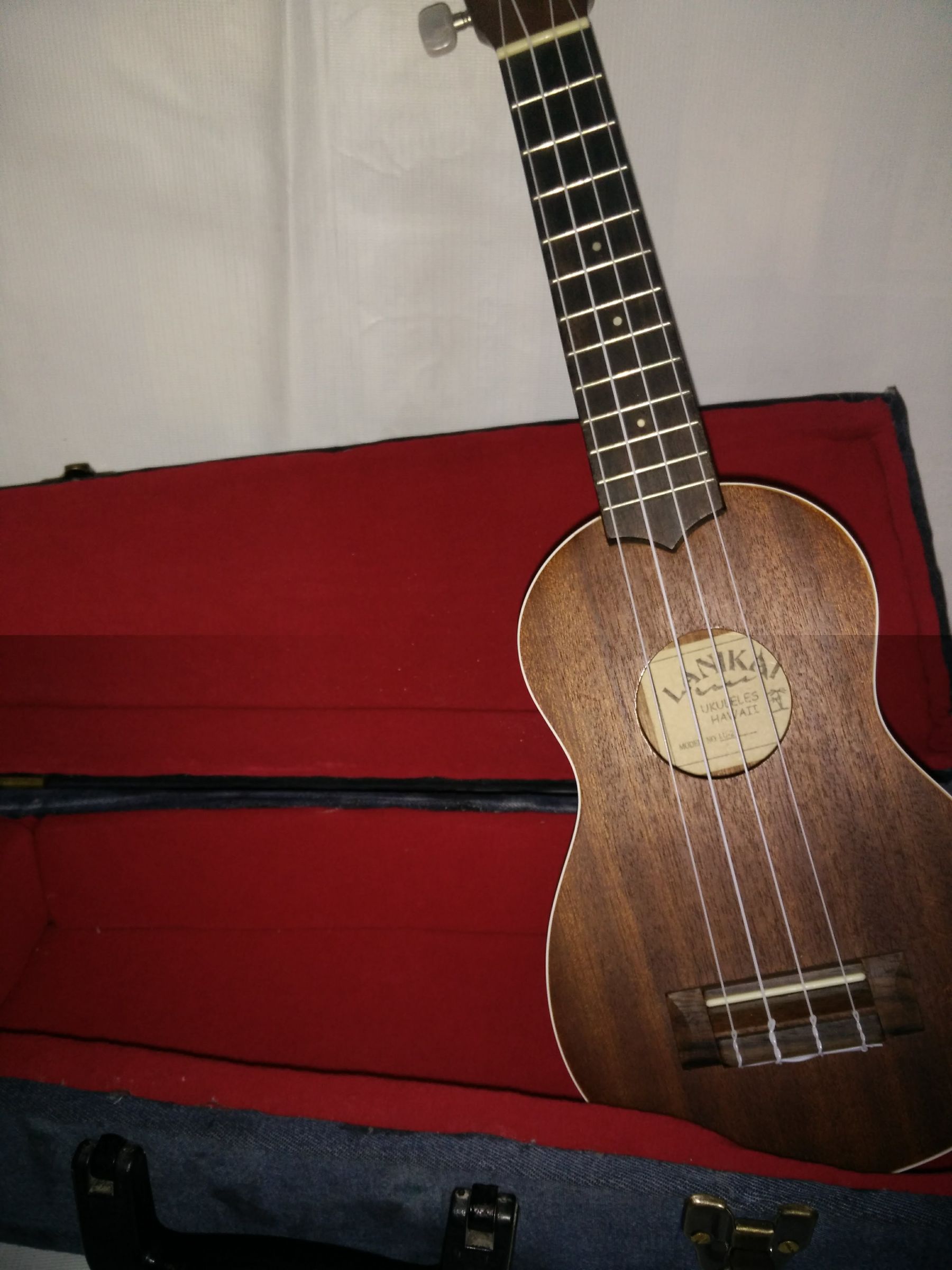 The Cardboard Ukulele Case : 10 Steps (with Pictures) - Instructables