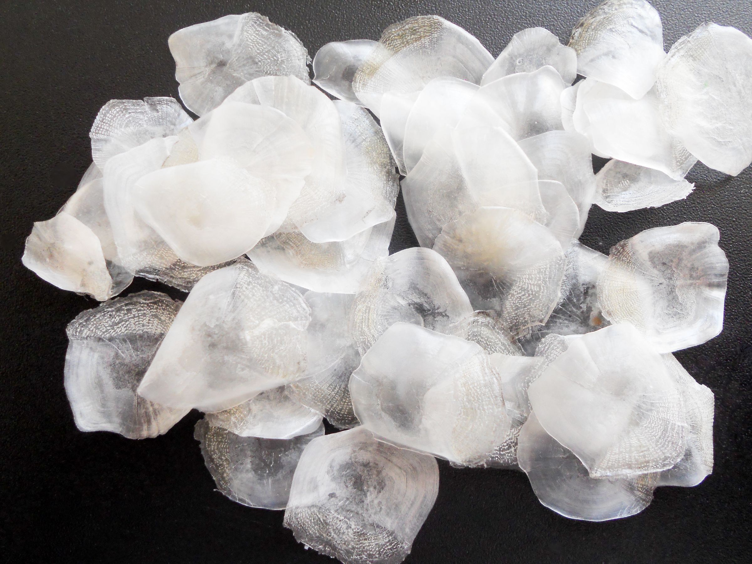 Fish Scale Flower Ring : 8 Steps (with Pictures) - Instructables