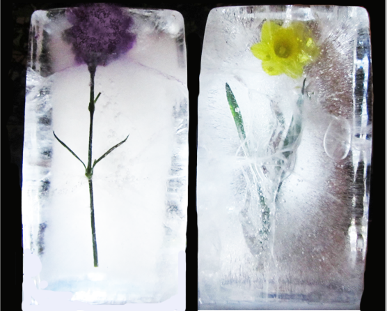 Ice Lamp : 4 Steps (with Pictures) - Instructables