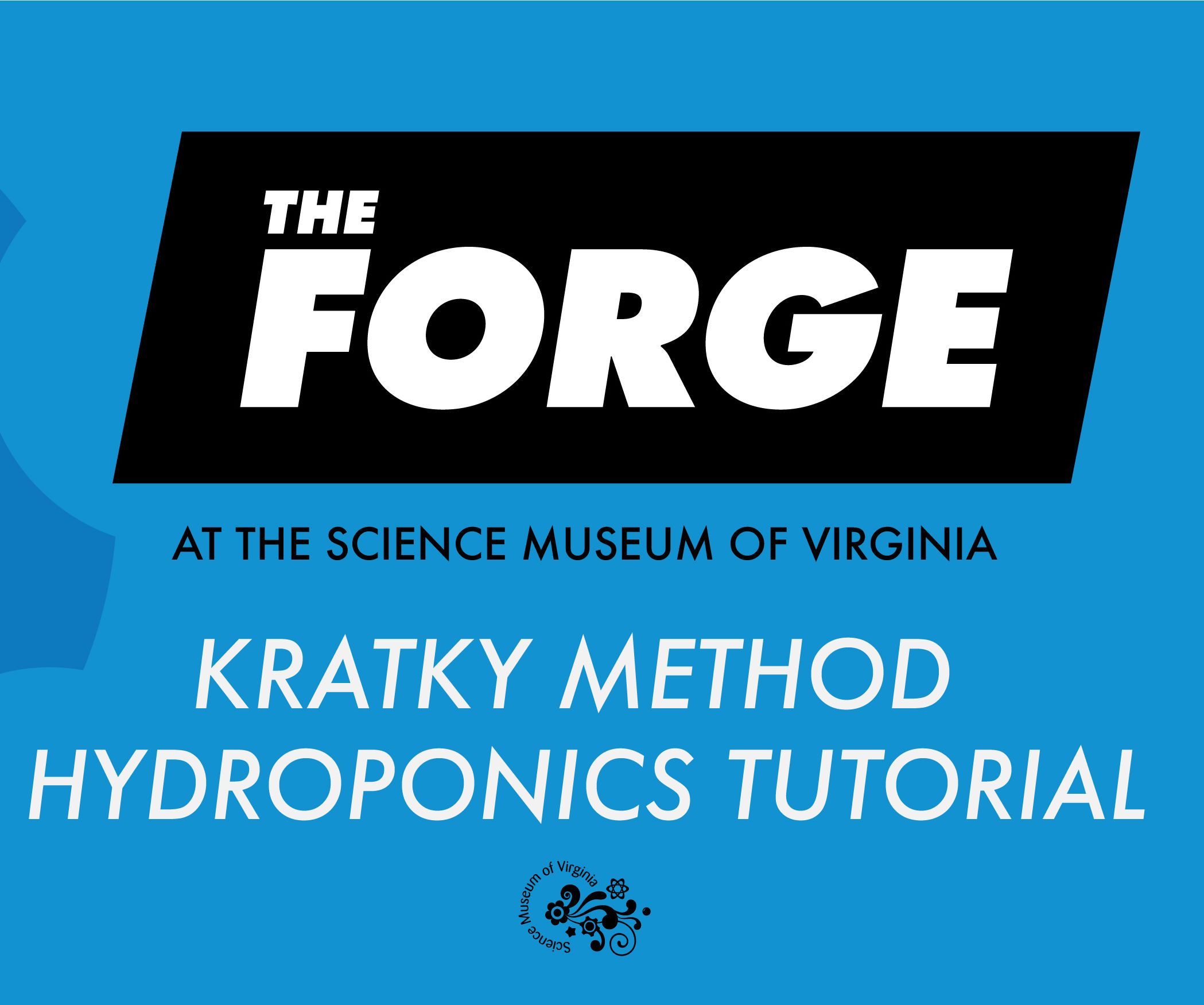 Kratky Method Hydroponics Tutorial : 3 Steps - Instructables