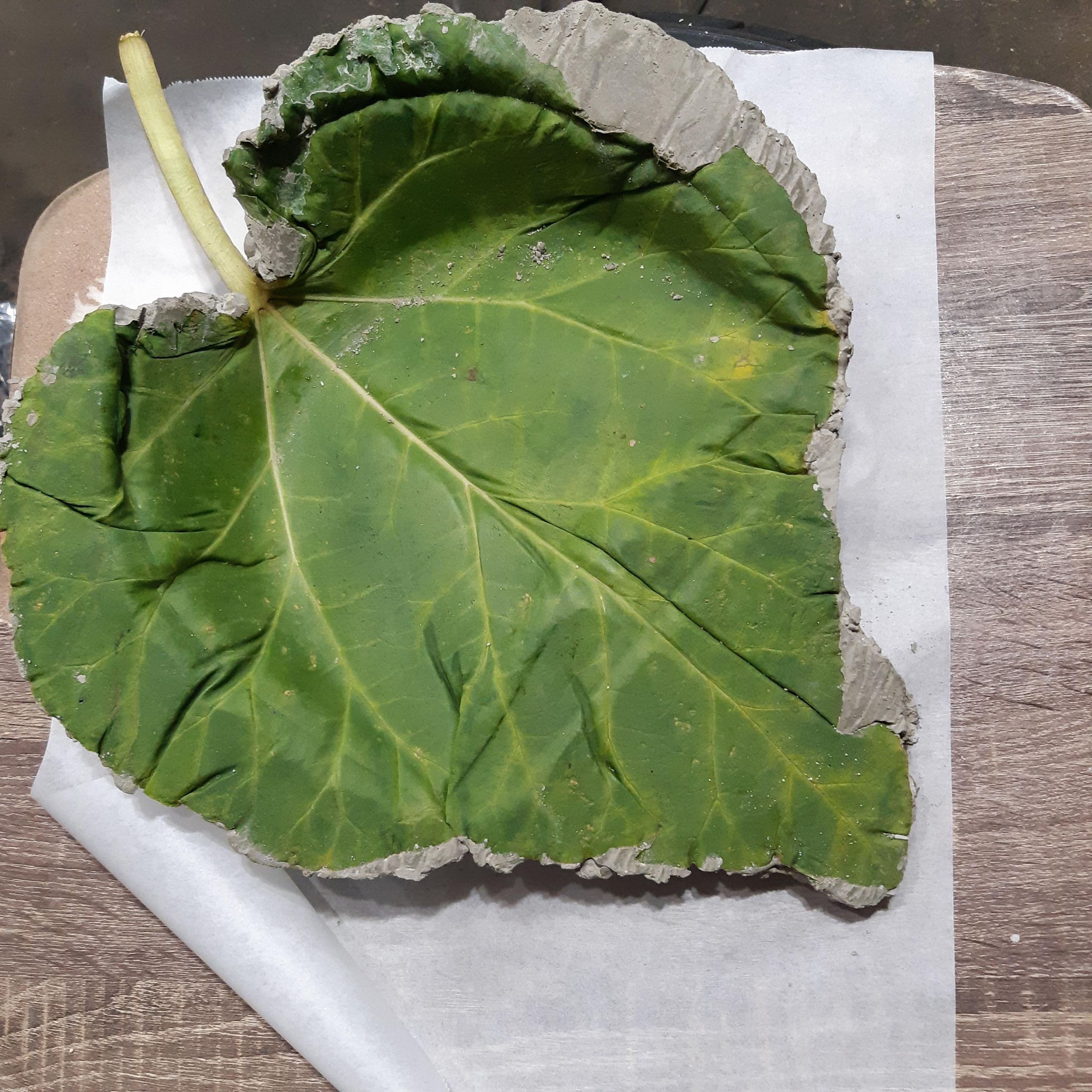 Concrete Rhubarb Leaf Garden Decor : 8 Steps (with Pictures ...