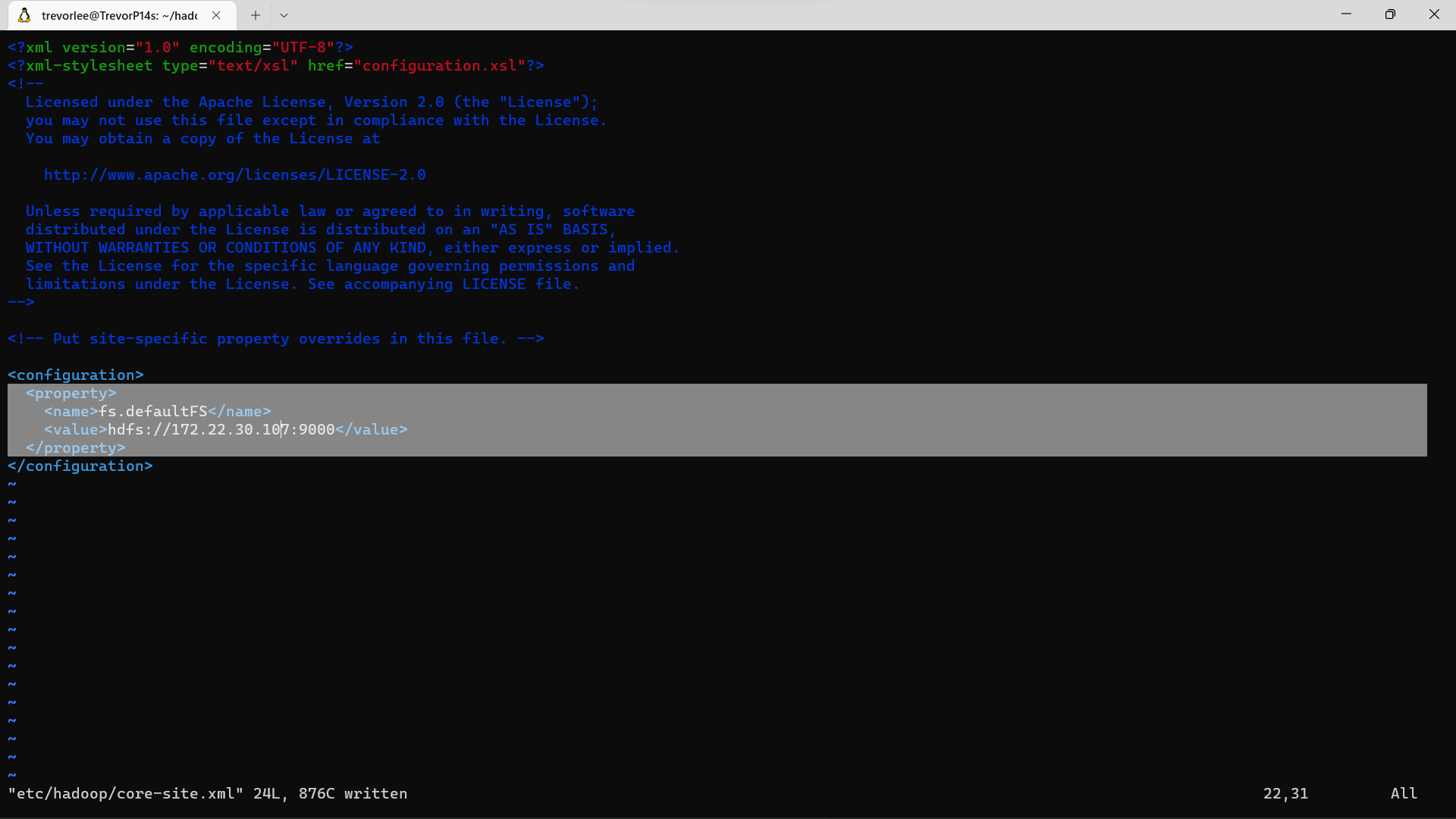 Install Single Node HDFS to Linix System Like Windows' WSL, for Remote Access : 18 Steps ...