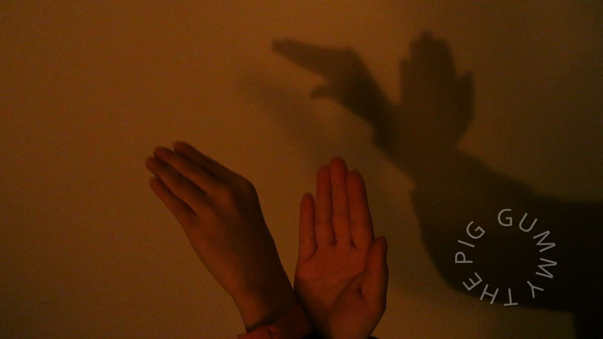 How to Make Shadow Puppets Tutorial #1 : 5 Steps - Instructables