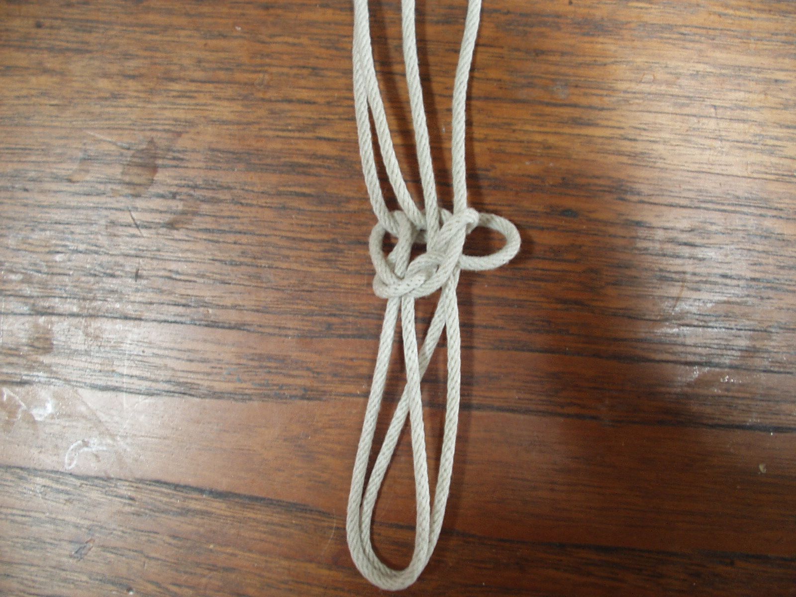 Fiador Knot Lanyard : 11 Steps - Instructables