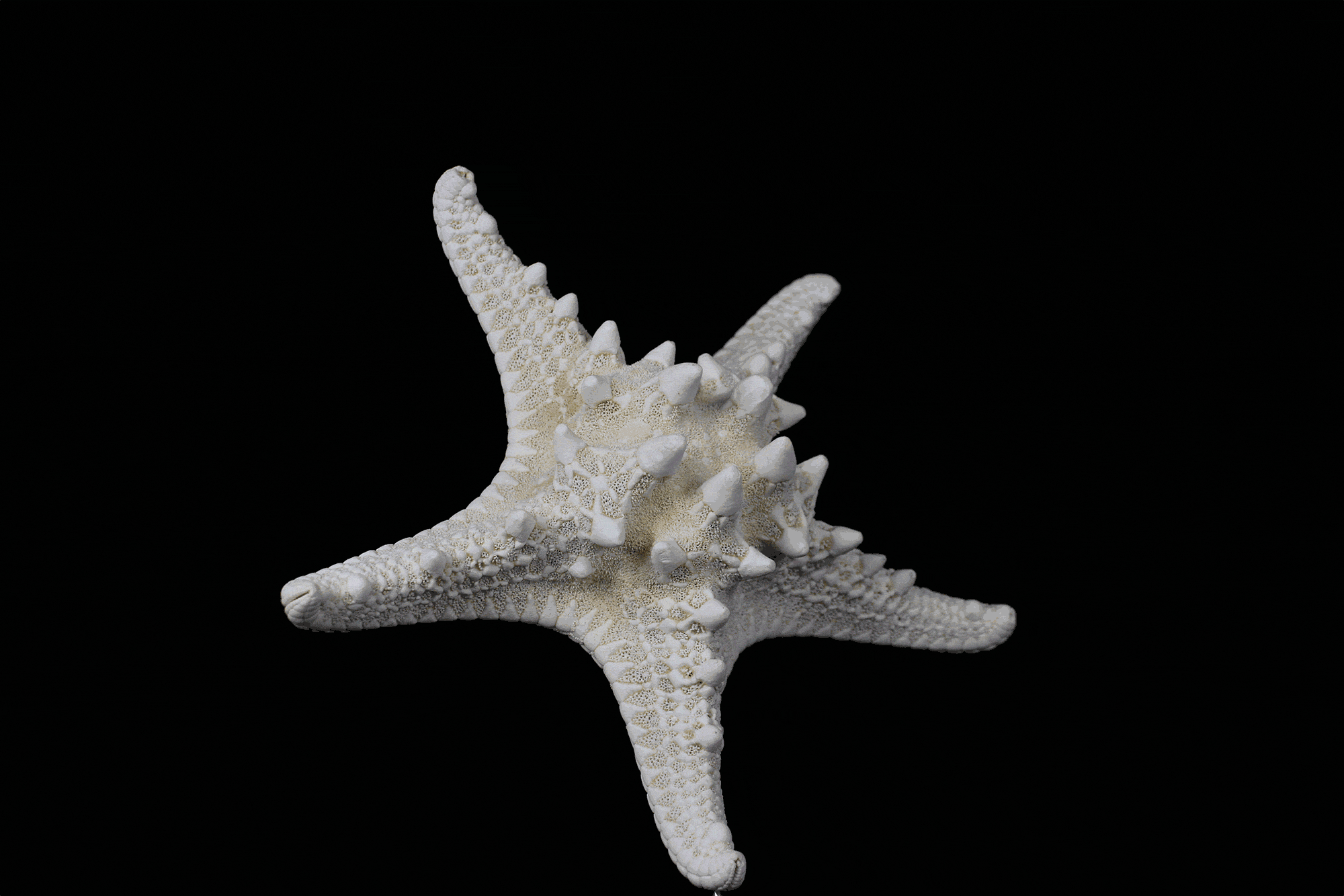 Shooting for Photogrammetry : 8 Steps - Instructables