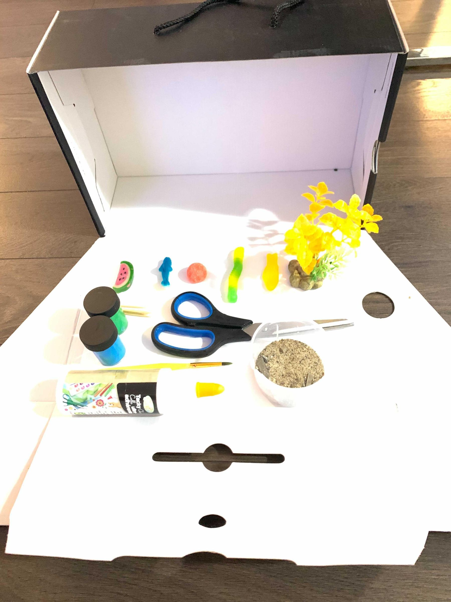 Marine Ecosystem Made From Candy : 9 Steps - Instructables