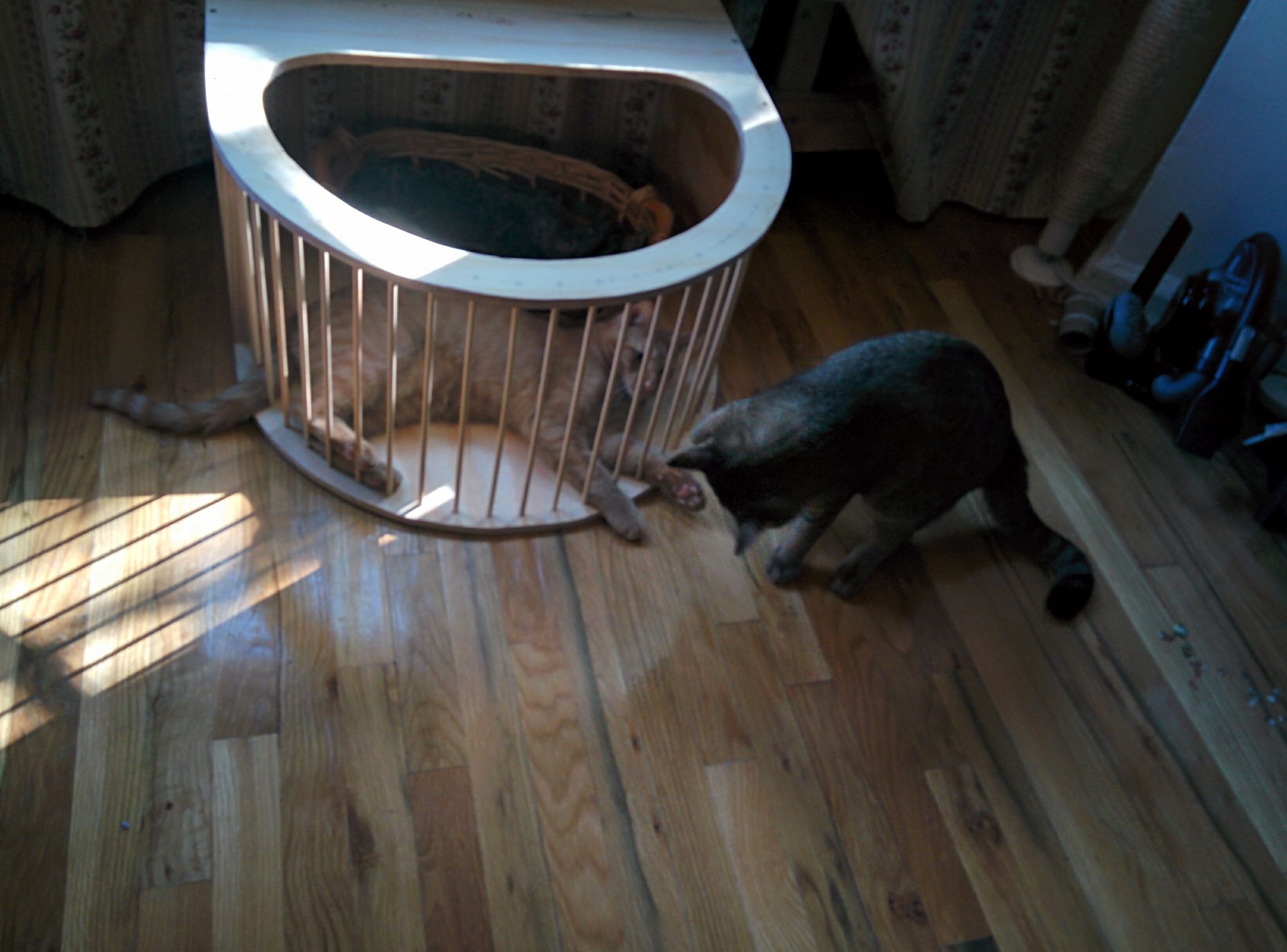 Window Catio (Cat Patio) : 12 Steps (with Pictures) - Instructables