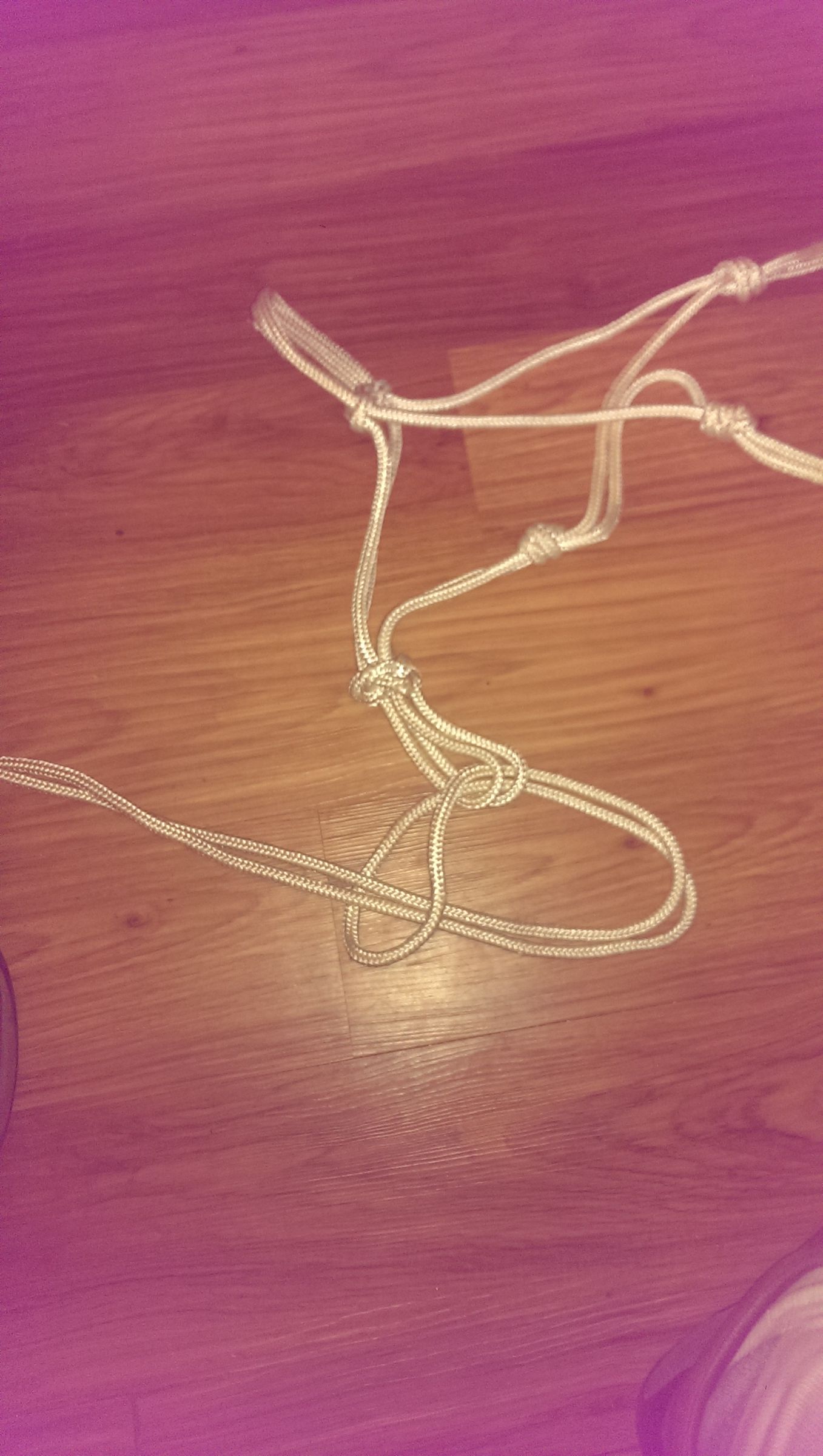 Rope Halter With Fiador : 10 Steps (with Pictures) - Instructables