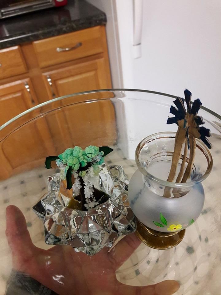 Grow Your Own Magic Crystal Tree : 8 Steps (with Pictures) - Instructables