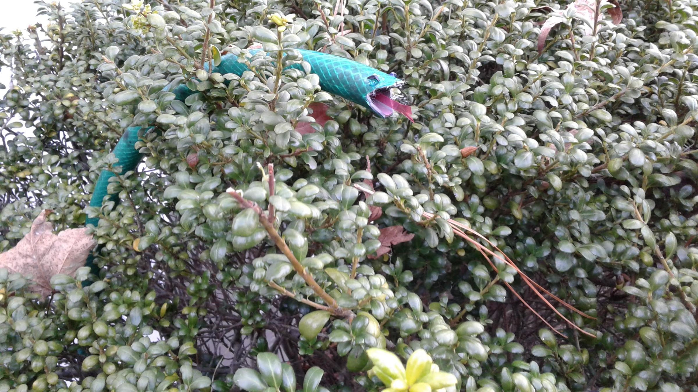 Plastic Hose Snake Prop : 6 Steps - Instructables