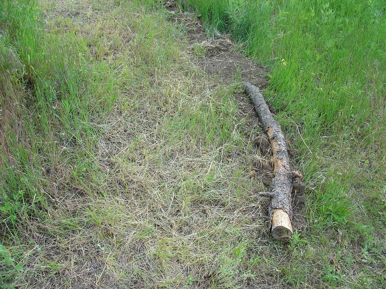 Bulid a Mountain Bike Trail : 7 Steps - Instructables