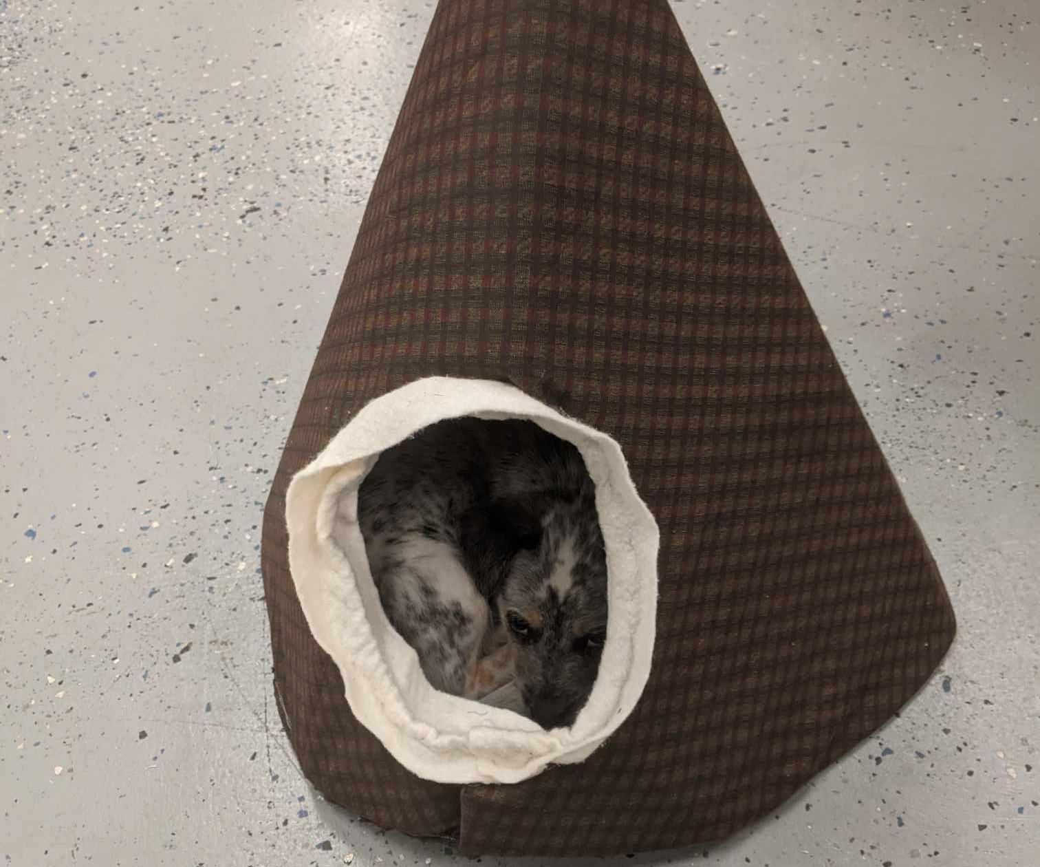Cone Shaped Dog Cave/Bed : 4 Steps (with Pictures) - Instructables