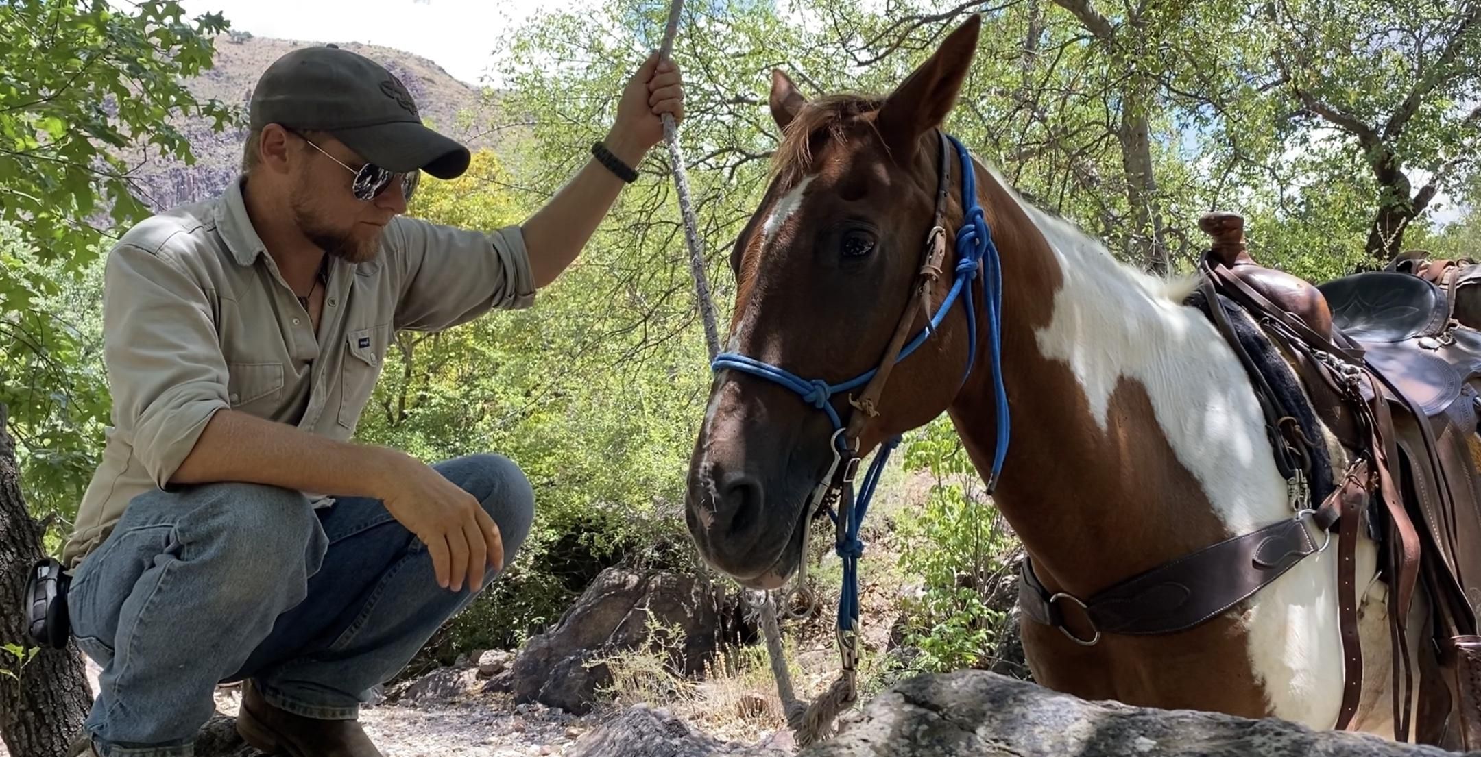 How to Halter a Horse -Fit & Tie a Rope Halter- : 6 Steps (with ...