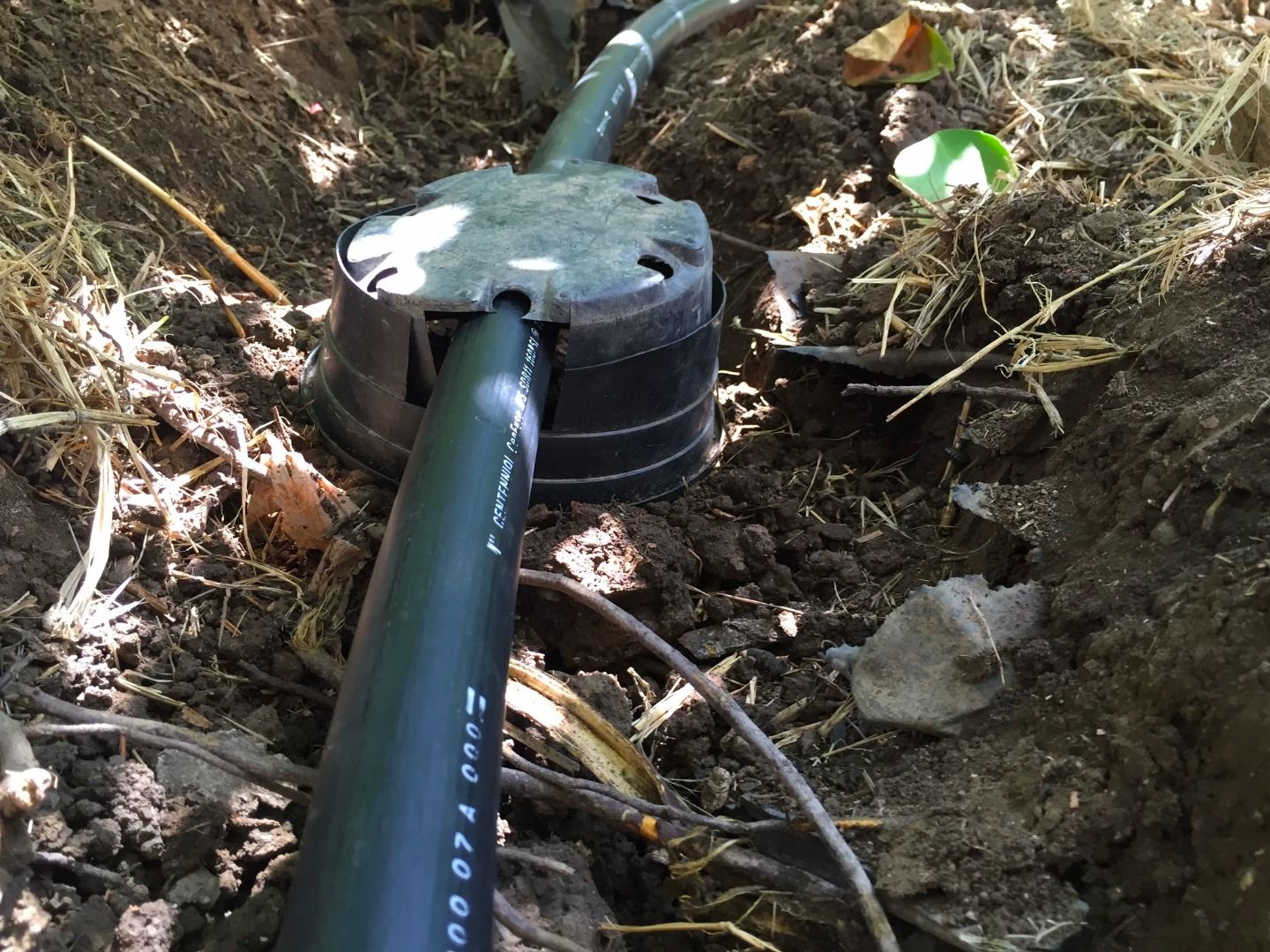 Laundry to Landscape Greywater System : 17 Steps (with Pictures ...