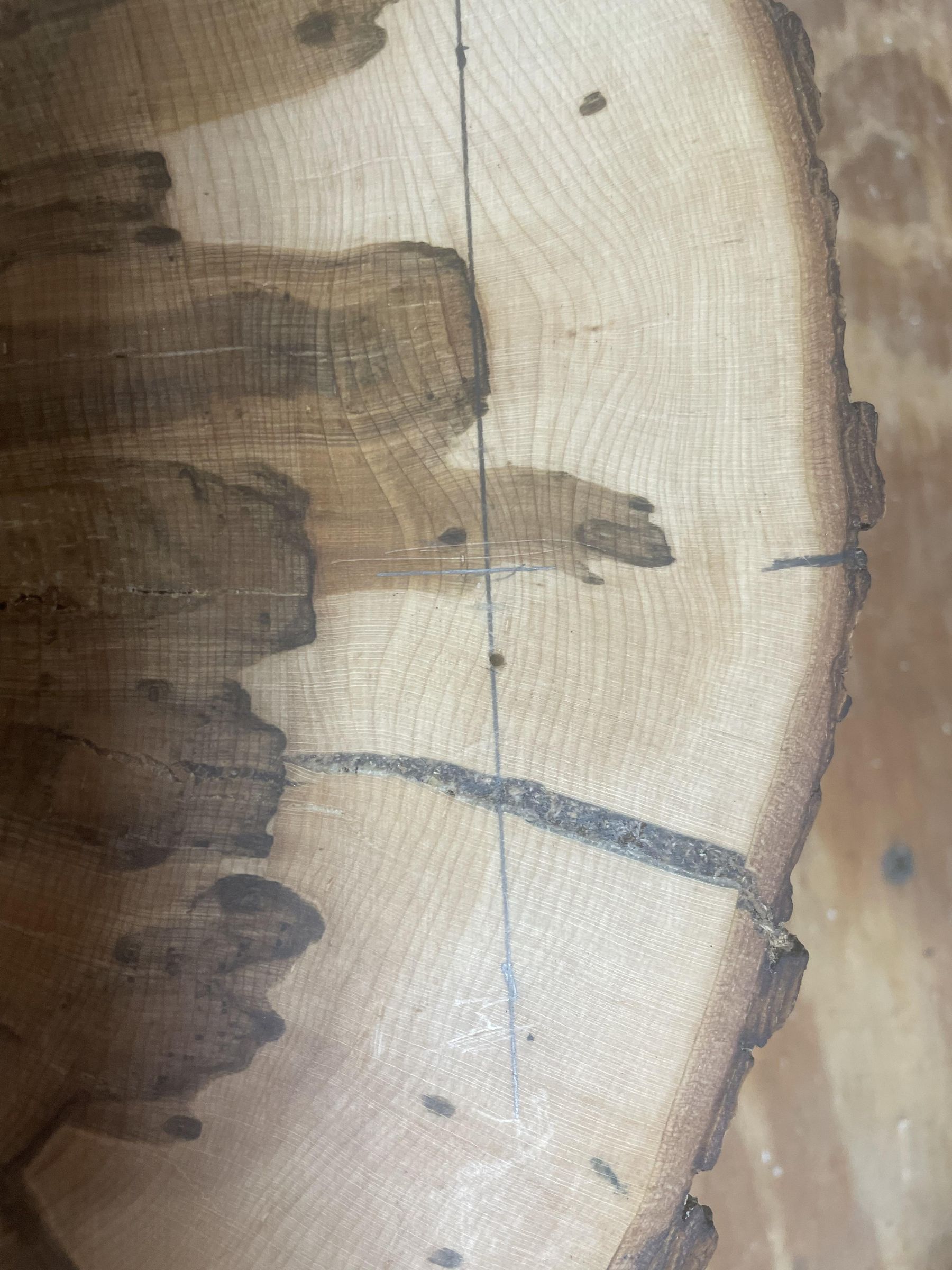 “TAP INTO TIME” - Maple Clock : 6 Steps (with Pictures) - Instructables