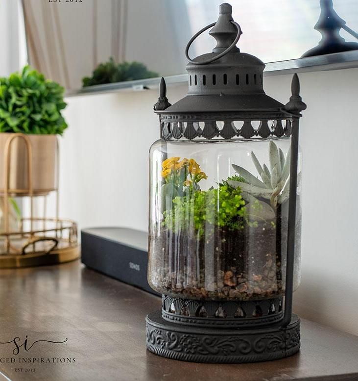 How to Create DIY Terrarium Using Thrift Store Supplies : 7 Steps (with ...