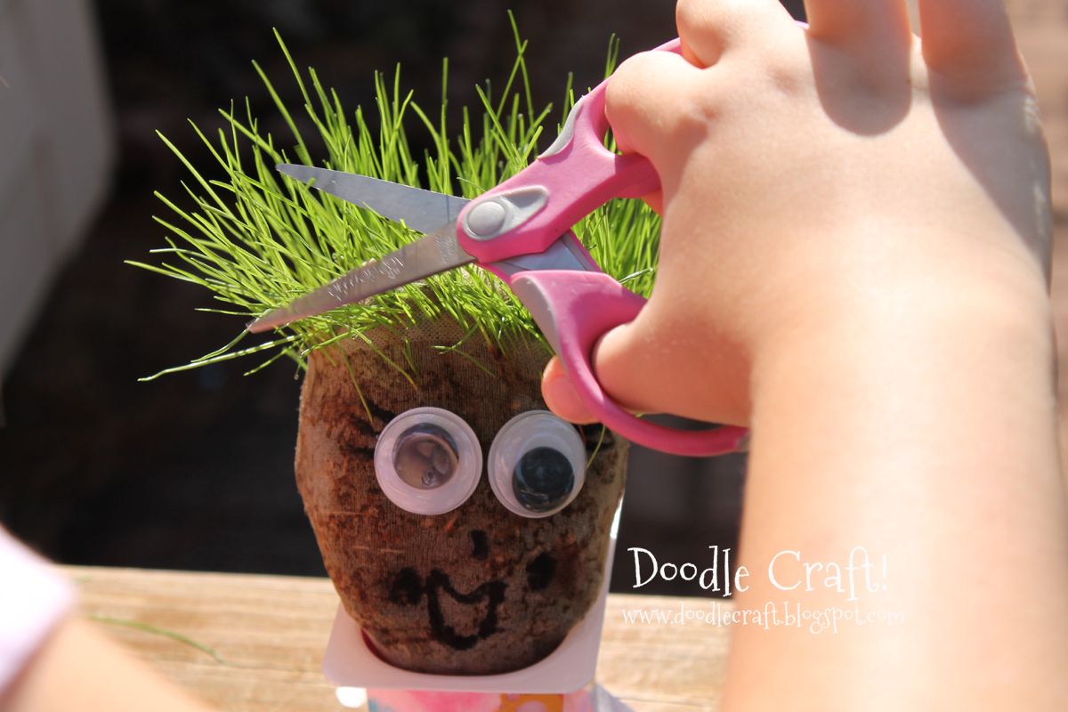 Haircut Chia Pet Grass Heads! Great for Summer Break! : 5 Steps (with ...