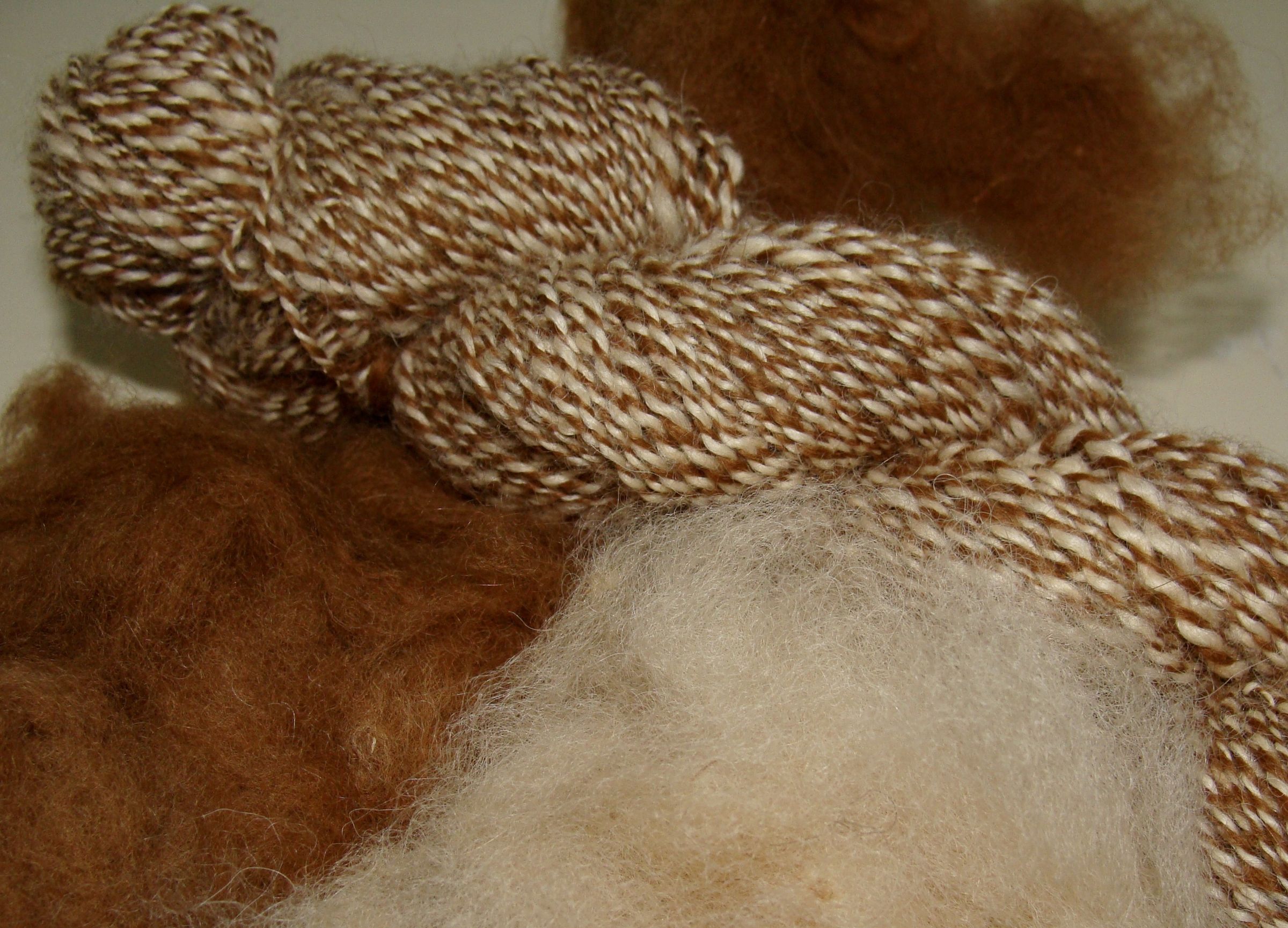 Alpaca Fleece . . . . Now What? : 10 Steps (with Pictures) - Instructables